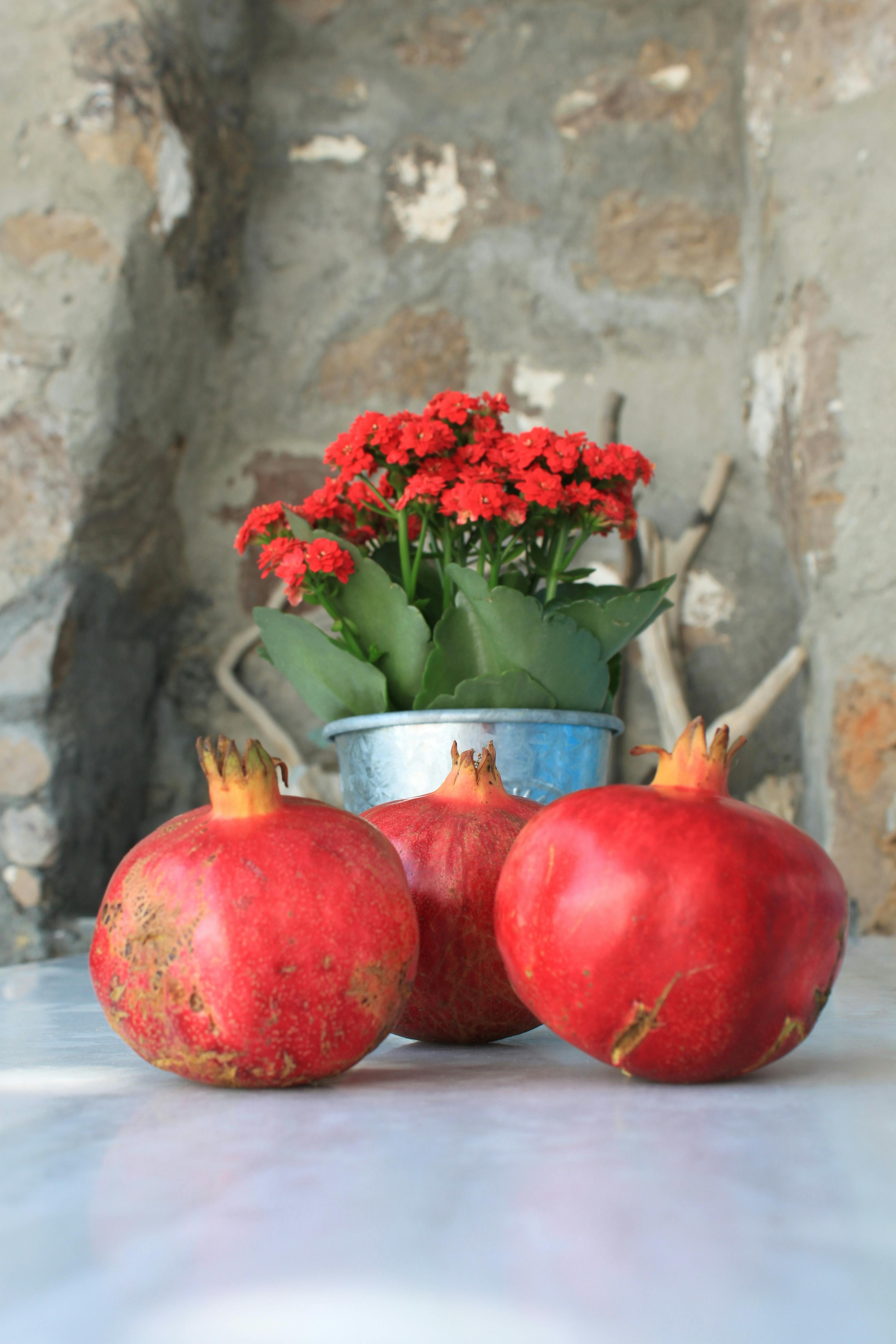 Red Round Fruit · Free Stock Photo