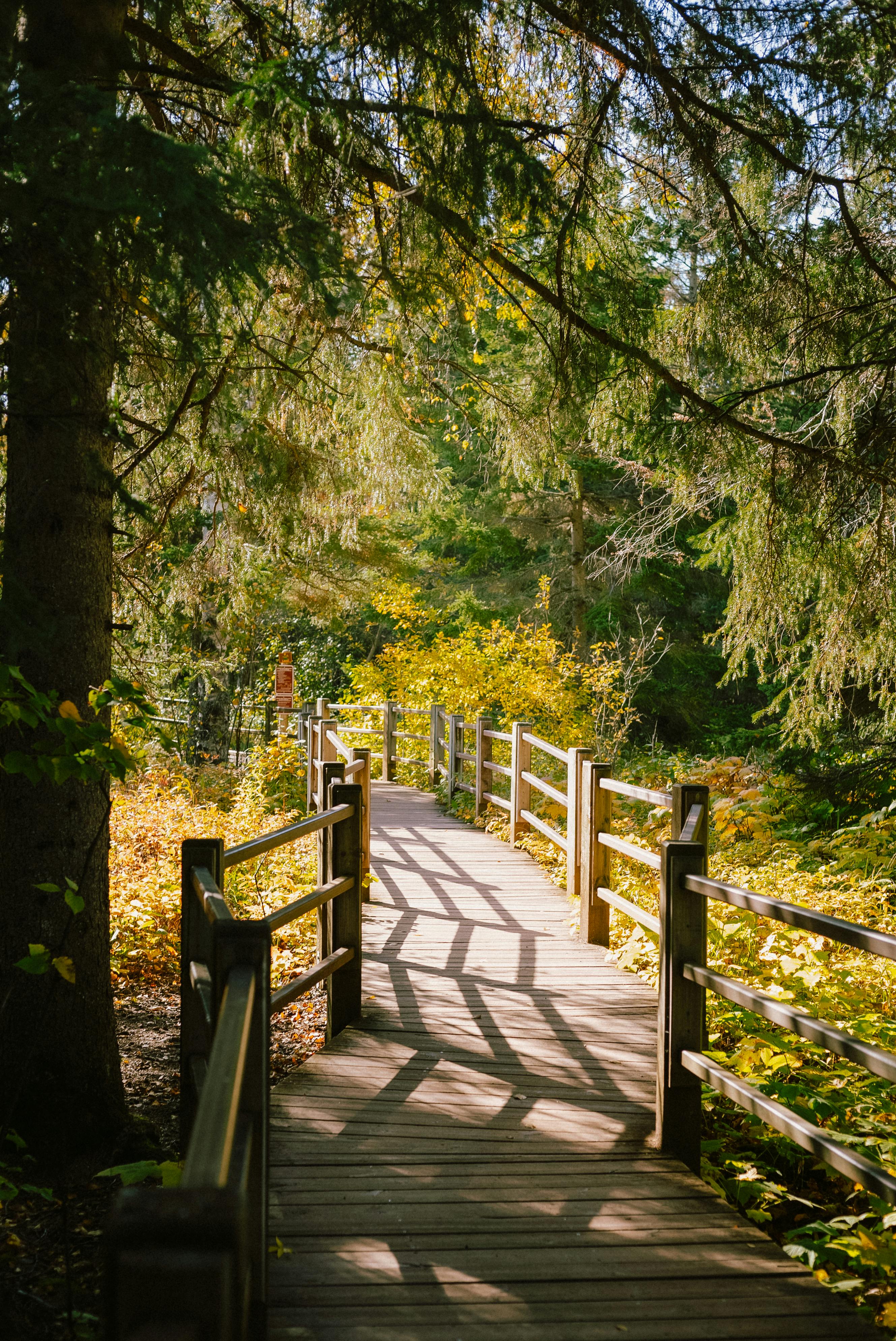 Graduation Banner Backdrop Photos, Download The BEST Free Graduation ...