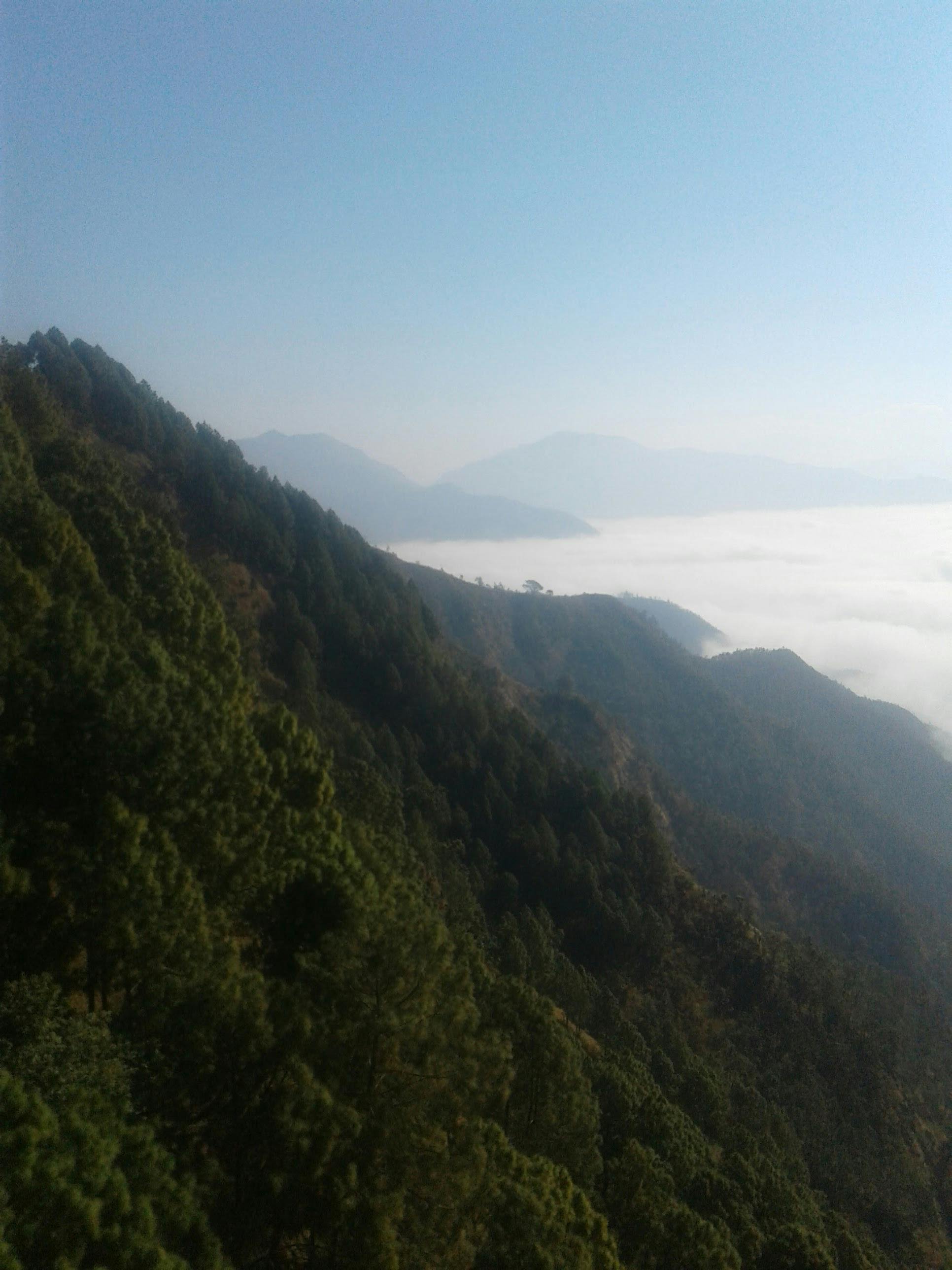 Dawn Nature Photos, Download Free Dawn Nature Stock Photos & HD Images