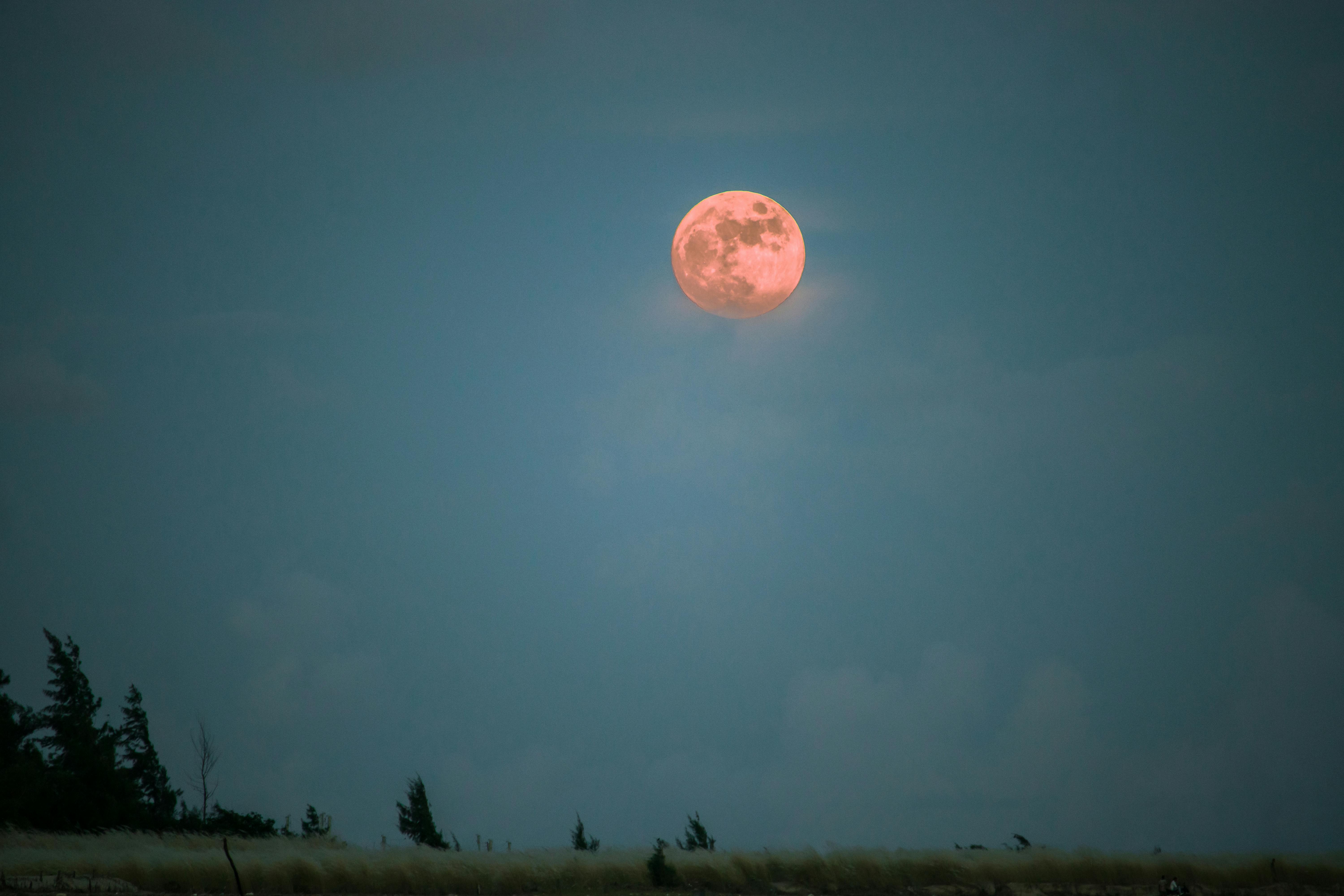 Rahul Pandit - Fotografía