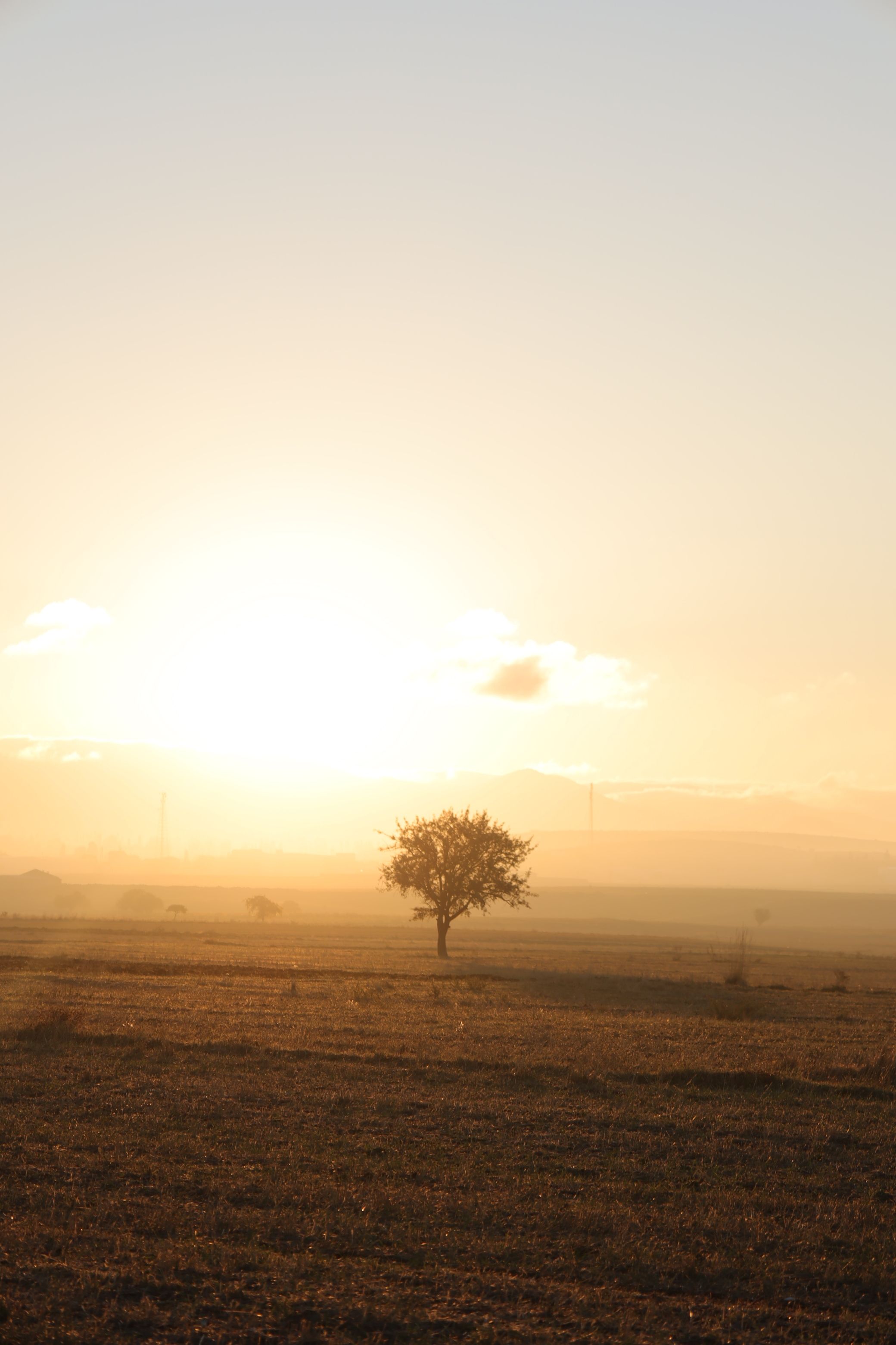 Sunlight on Clear Sky over Field · Free Stock Photo