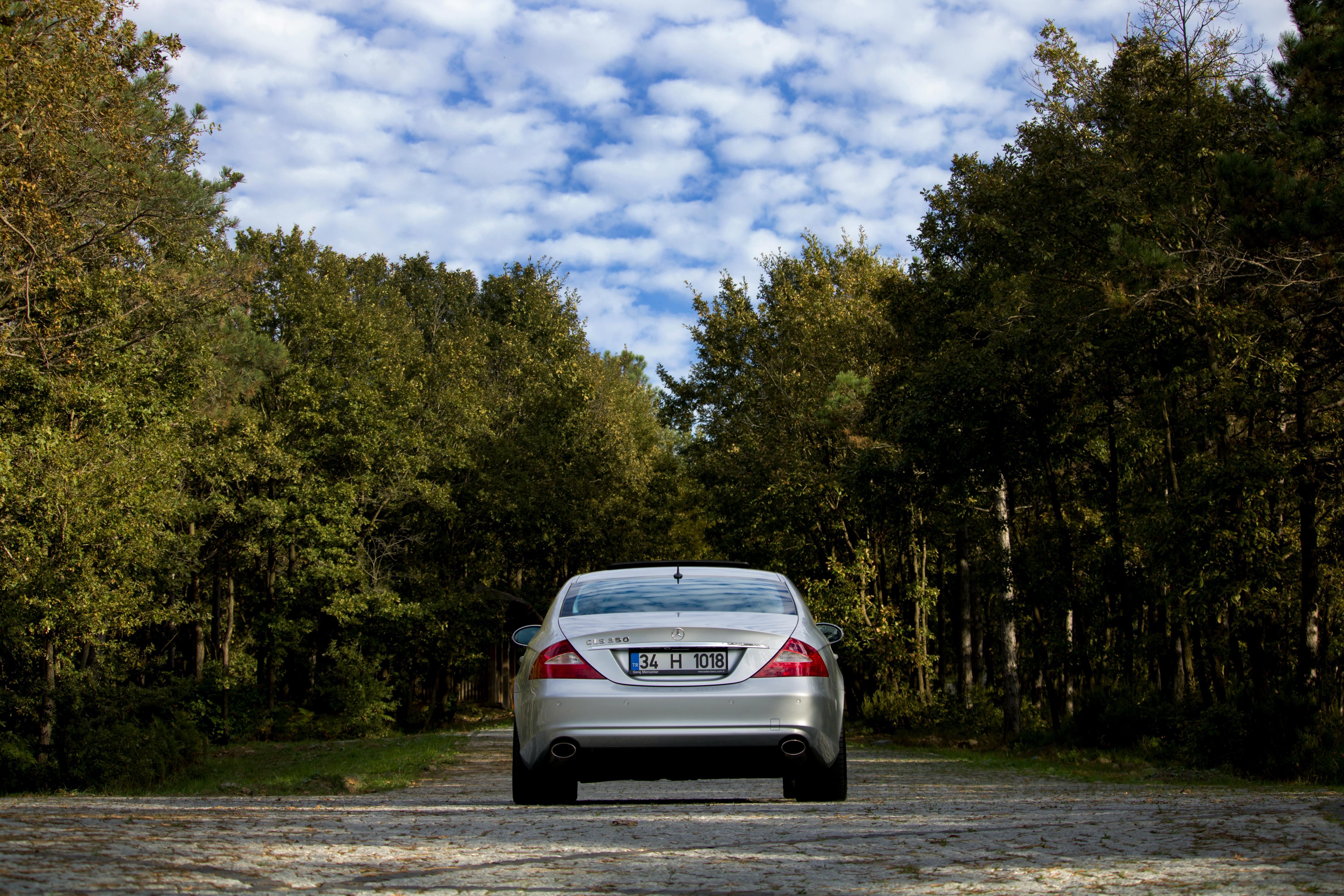 Back View Shot of Silver Car Moving on the Road Between Tall Trees ...