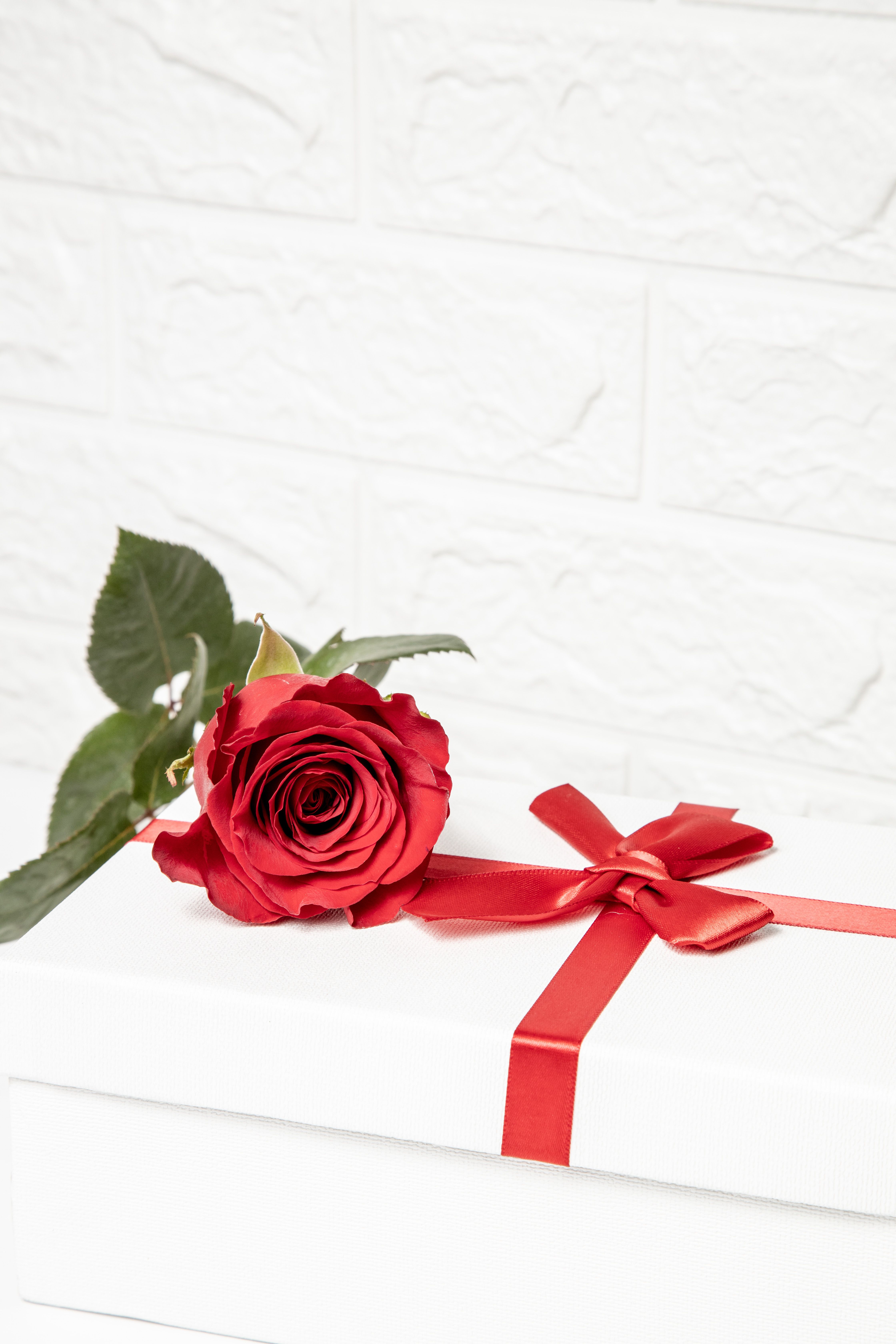 A Red Rose on Gift Box · Free Stock Photo