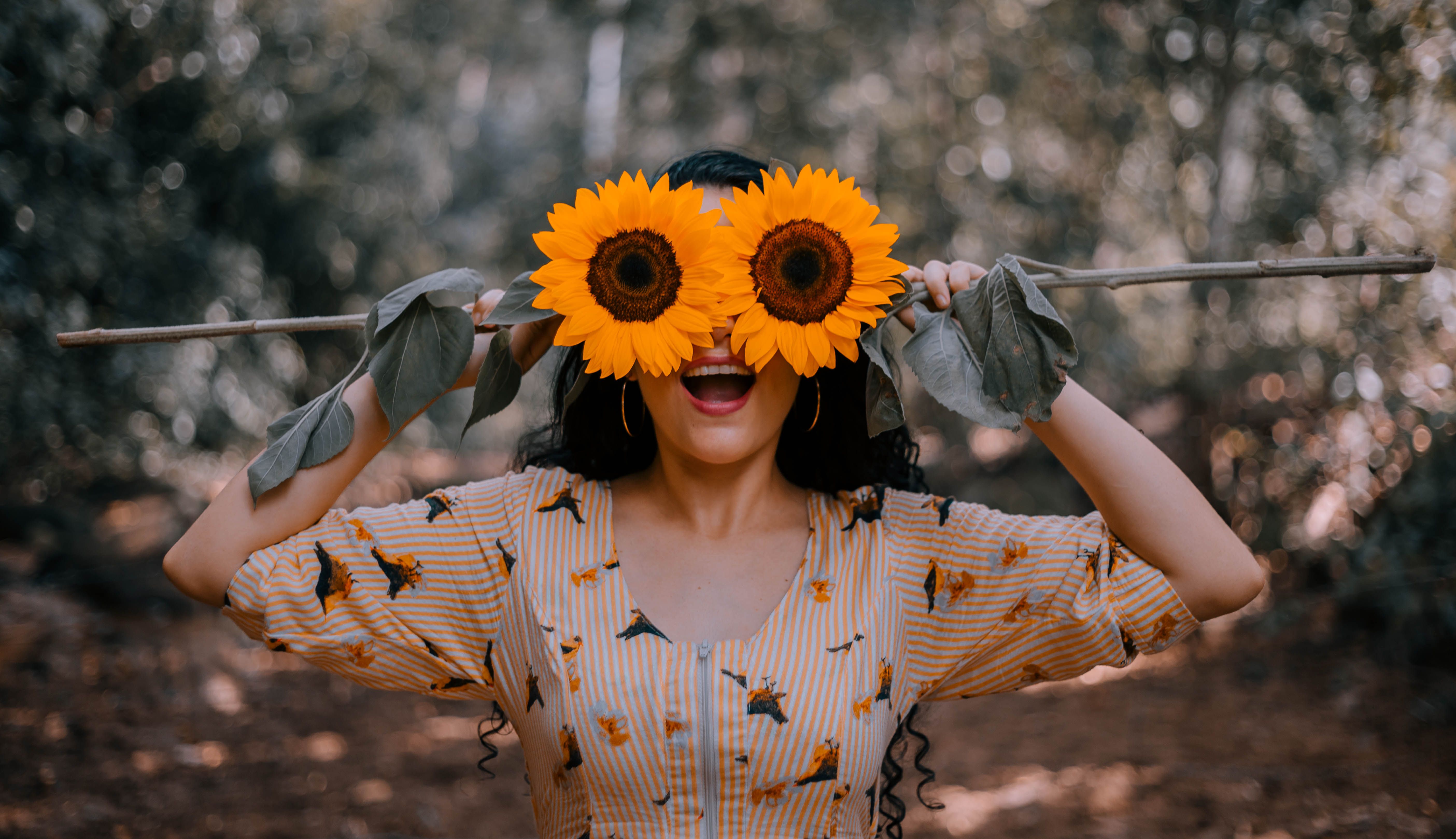 Three Women Holding Sunflowers · Free Stock Photo