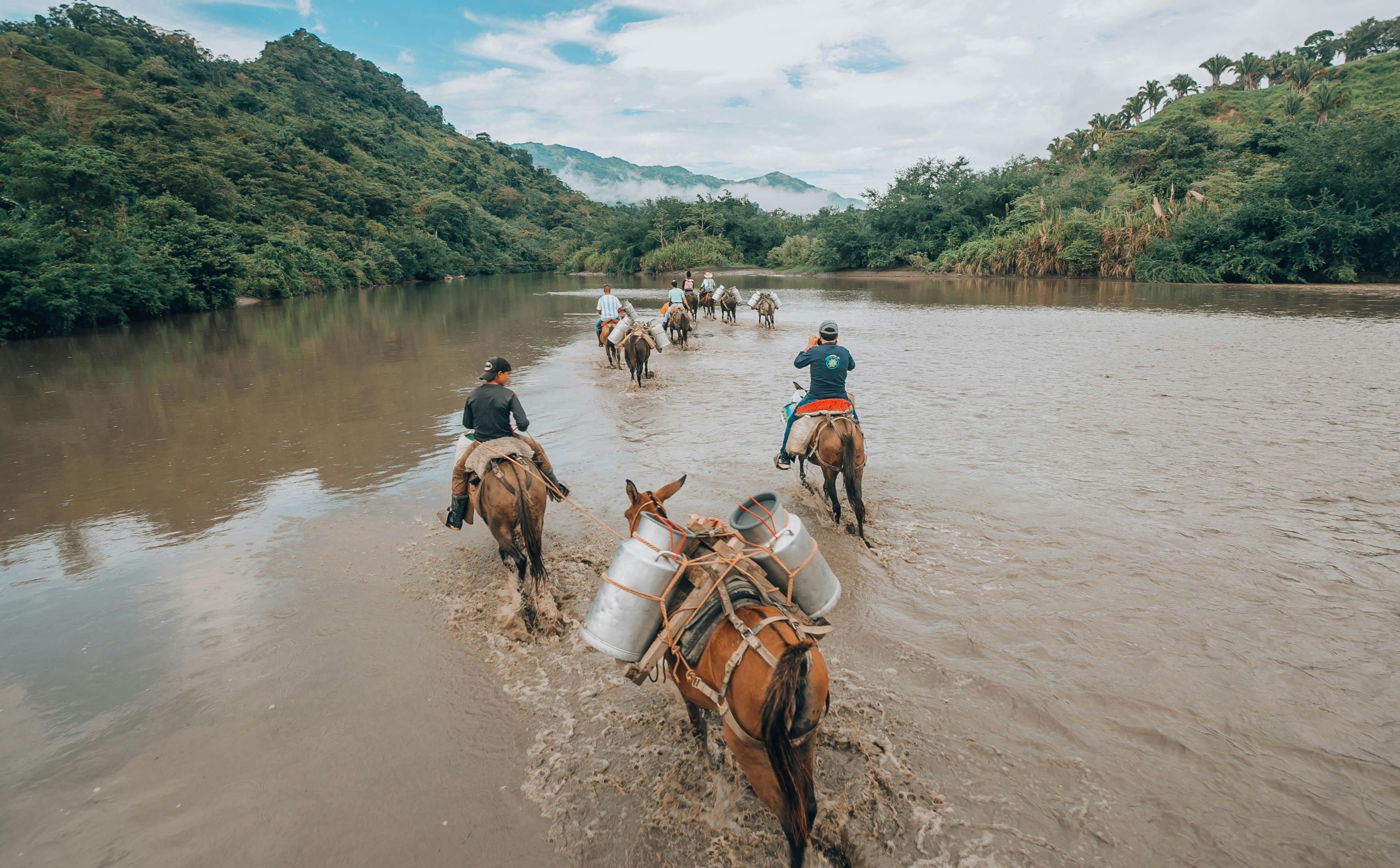 People Riding a Boat · Free Stock Photo