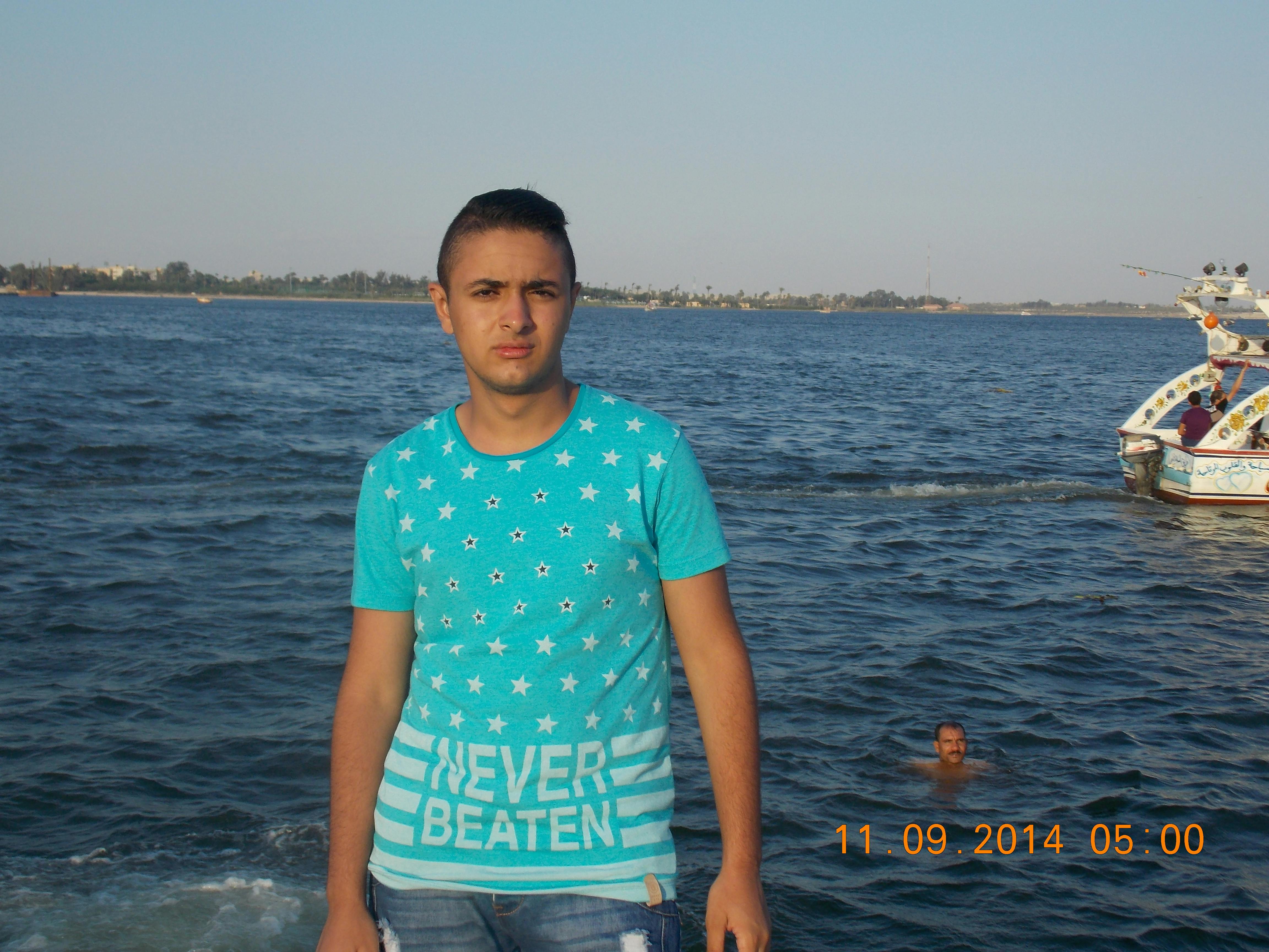 Free stock photo from alaa · Pexels