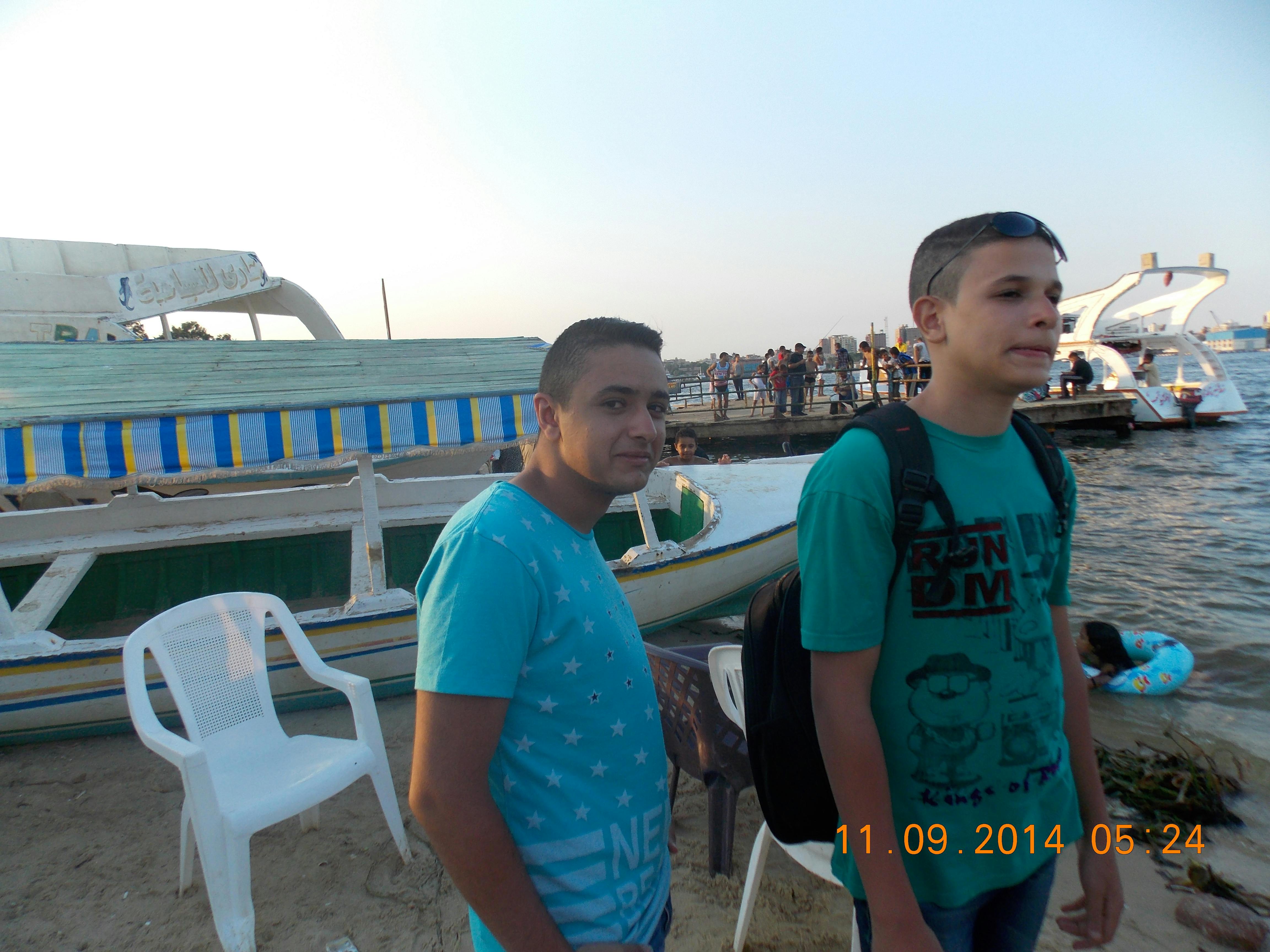 Free stock photo from alaa · Pexels