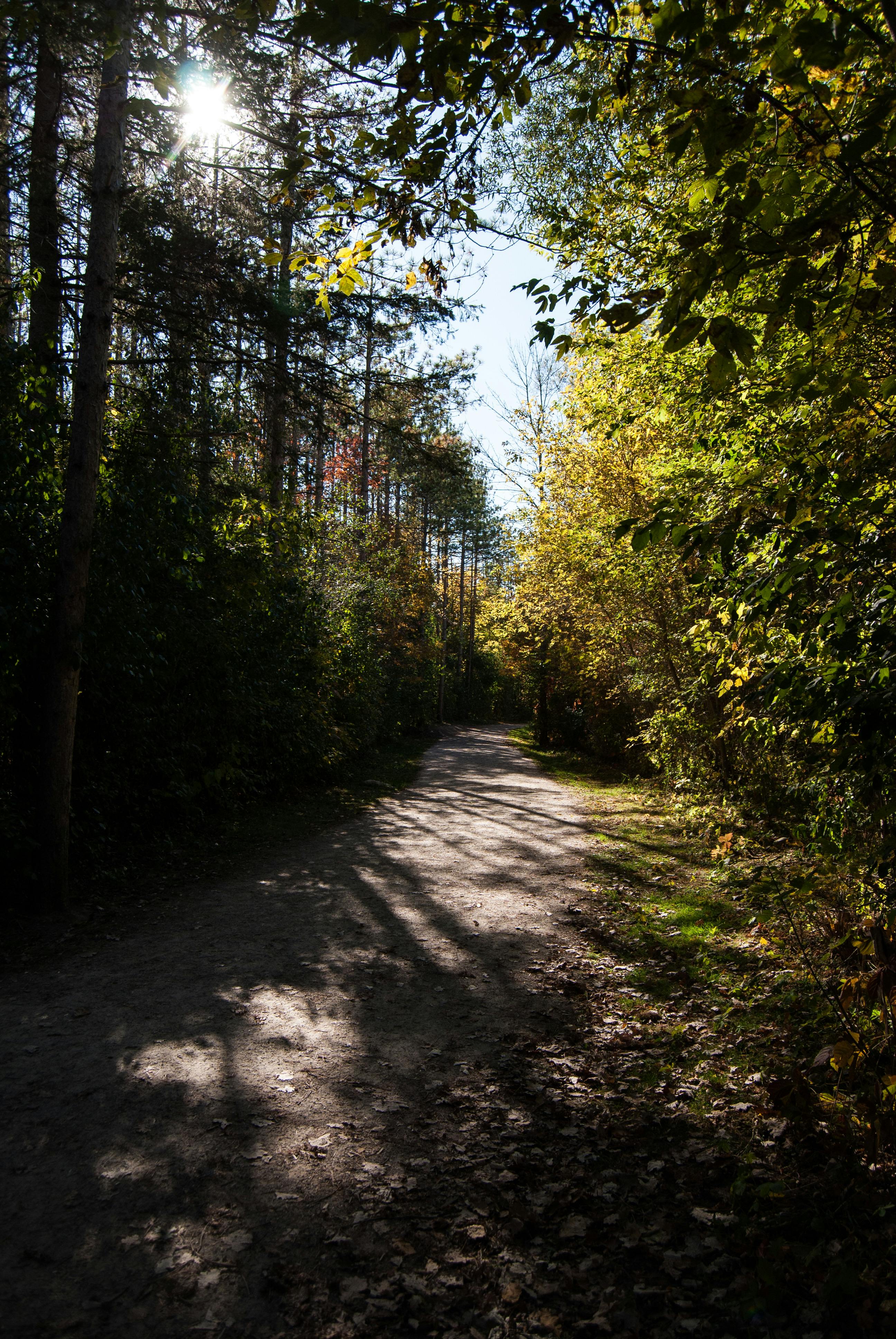 Jeffrey Robb - Fotografía