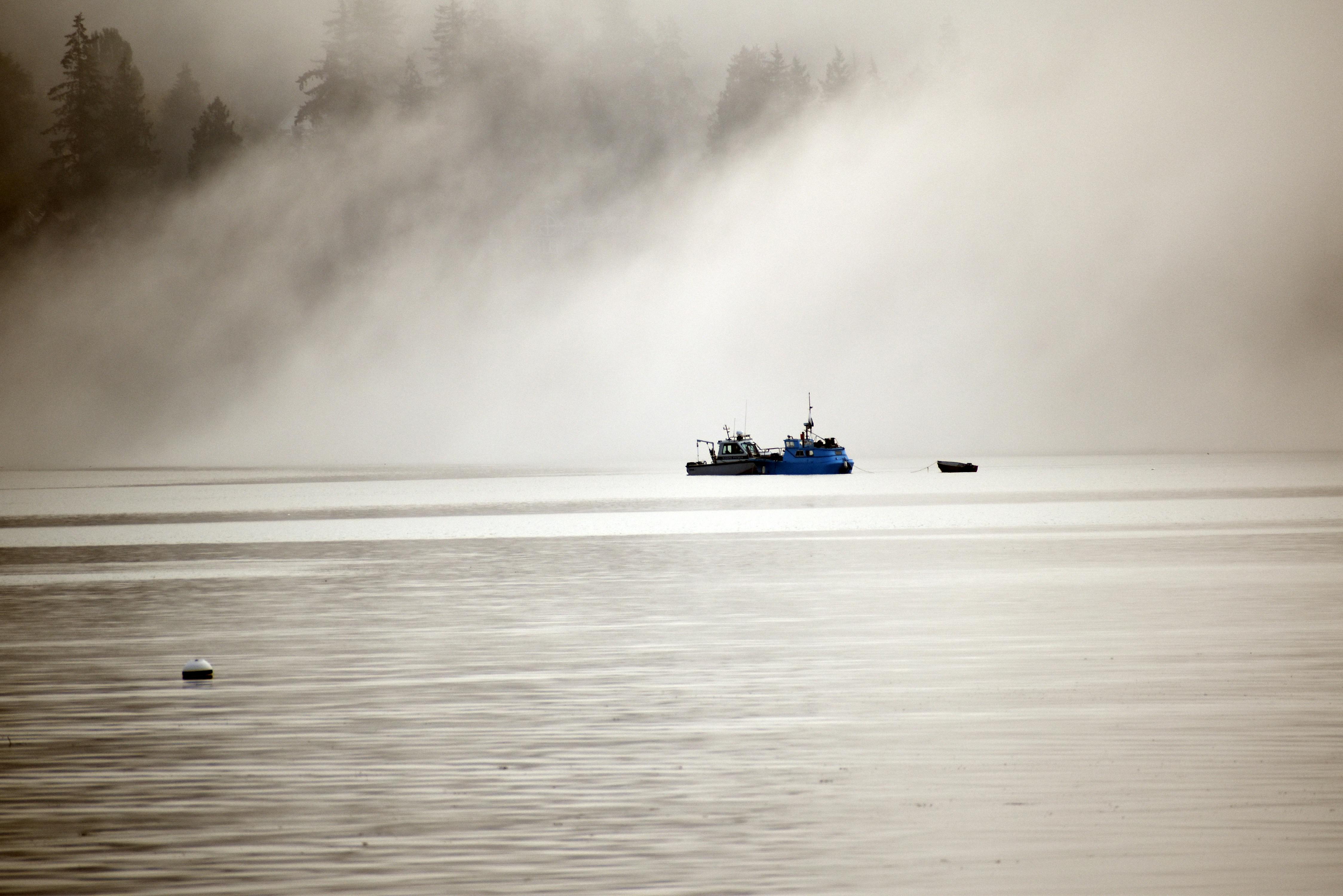 Body of Water Under Fog · Free Stock Photo