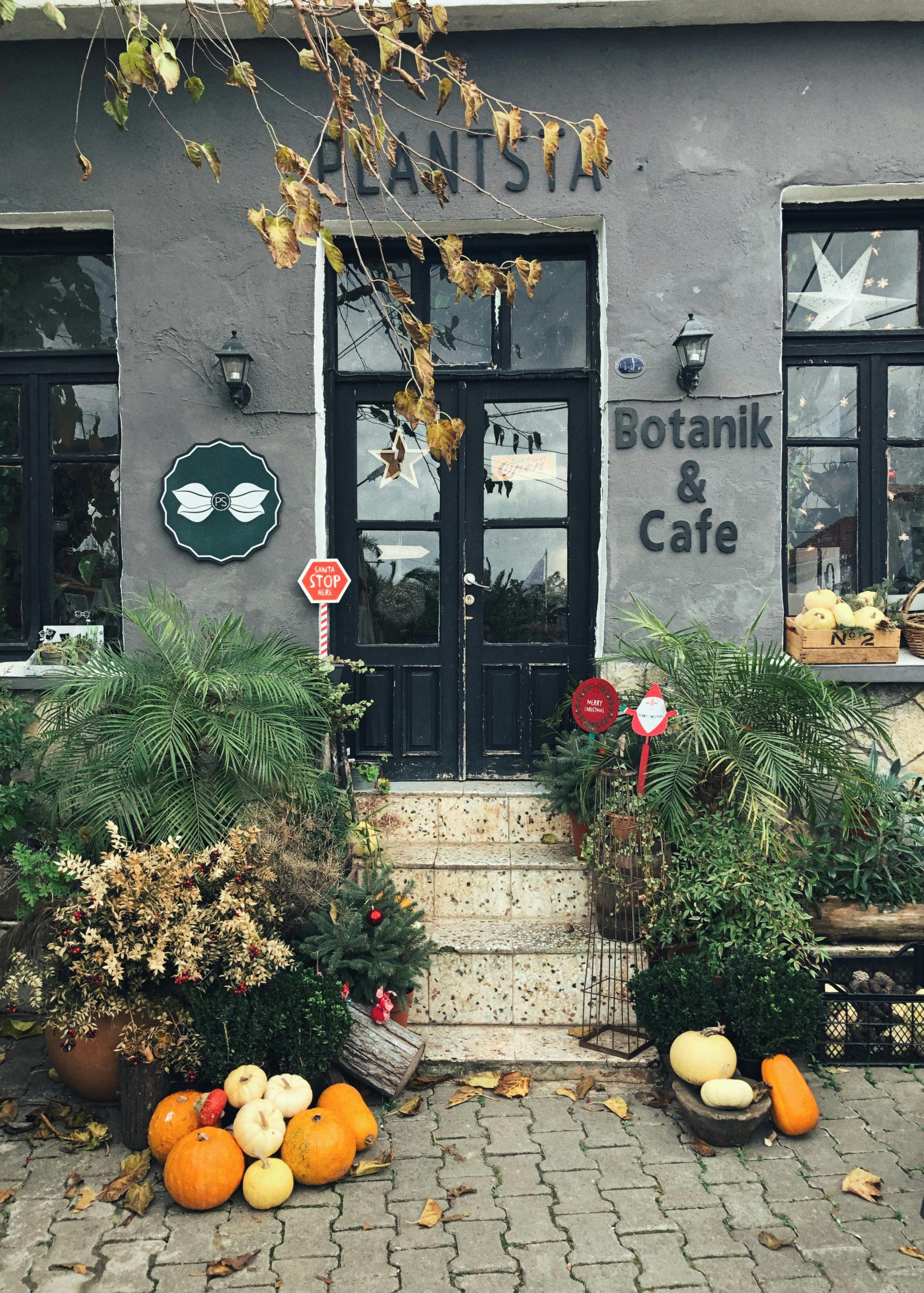 Pumpkins Outside a Café · Free Stock Photo