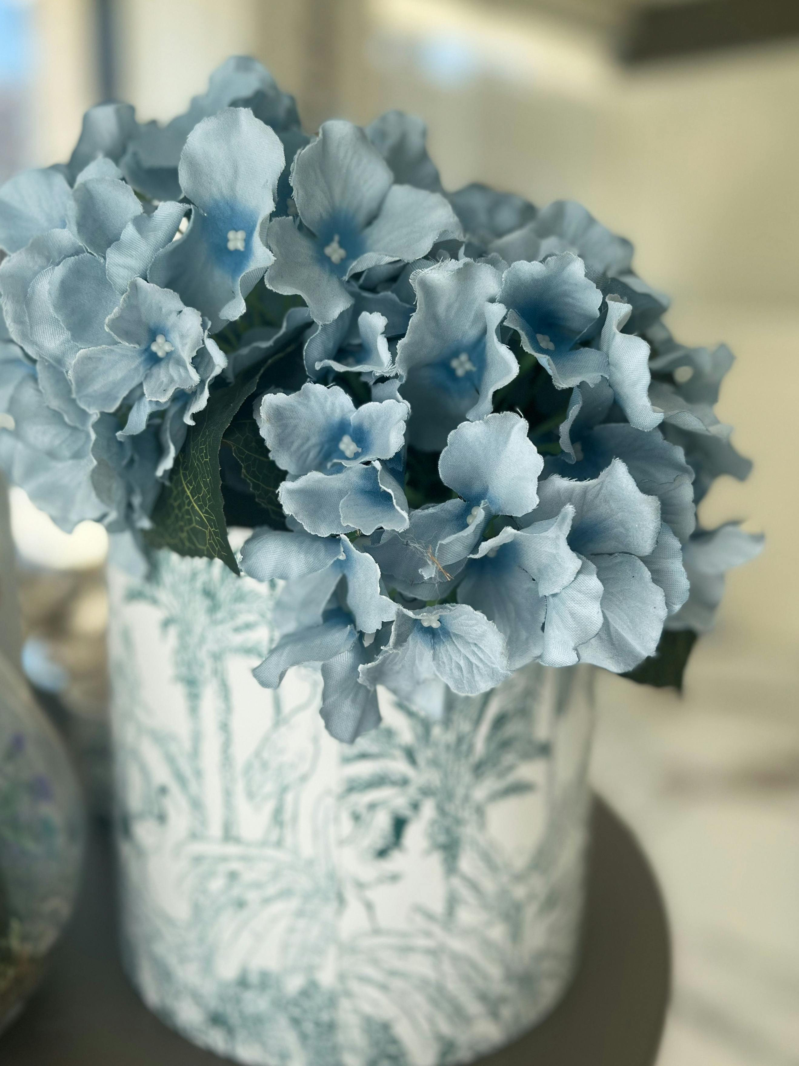 A Tree Branch and a Craspedia Flower · Free Stock Photo