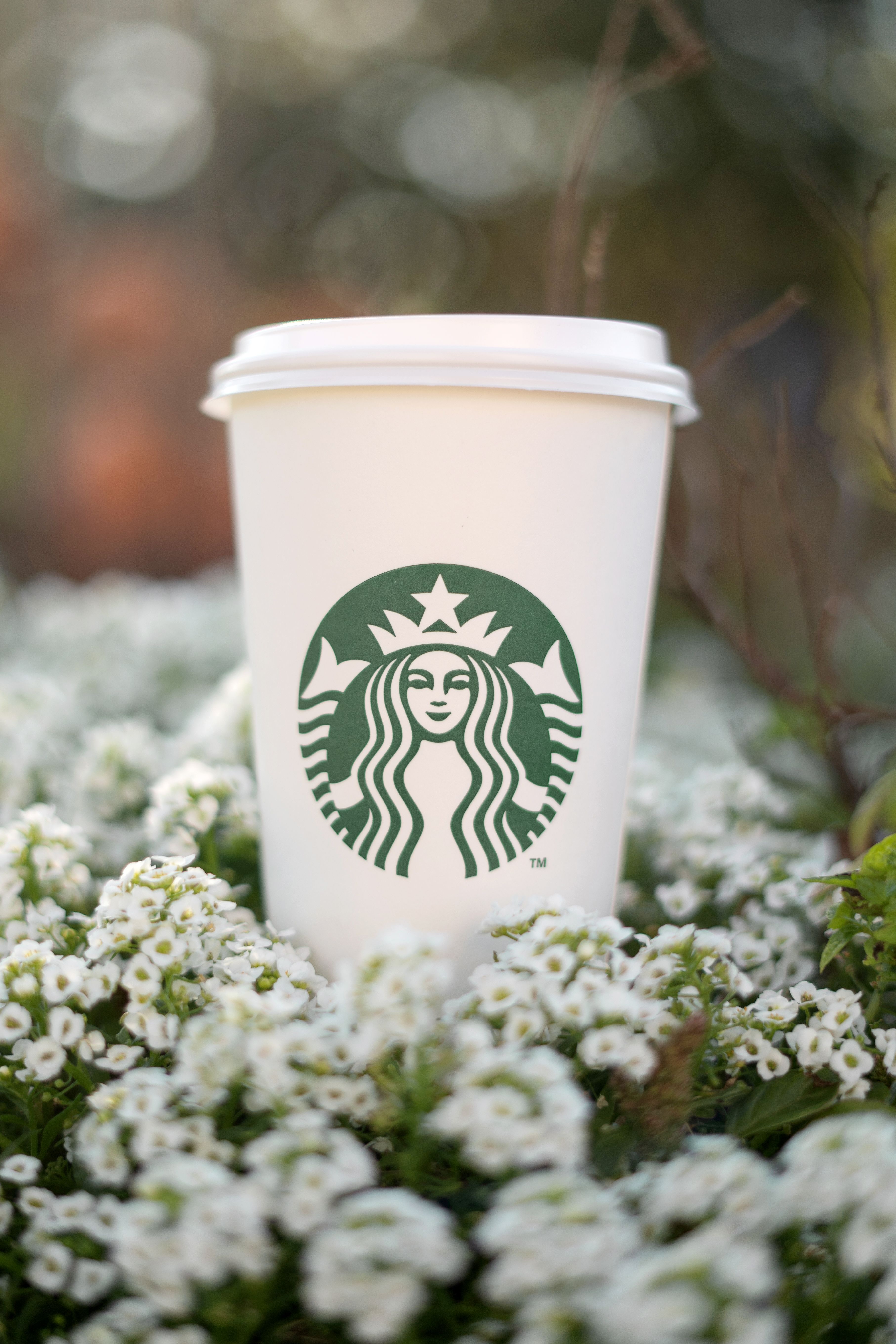 A Cup of Starbucks · Free Stock Photo