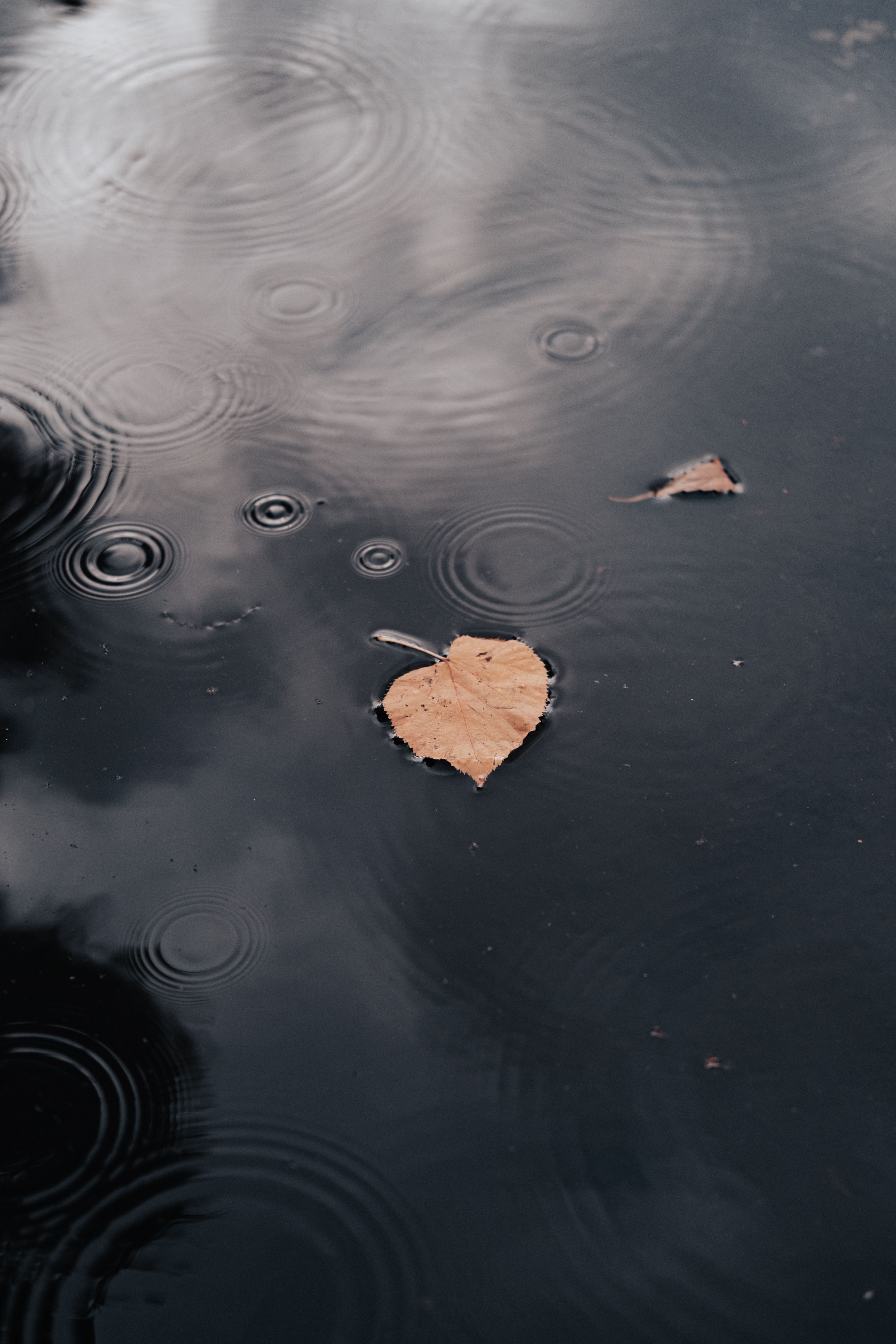 Underwater Rain Photos, Download The BEST Free Underwater Rain Stock ...