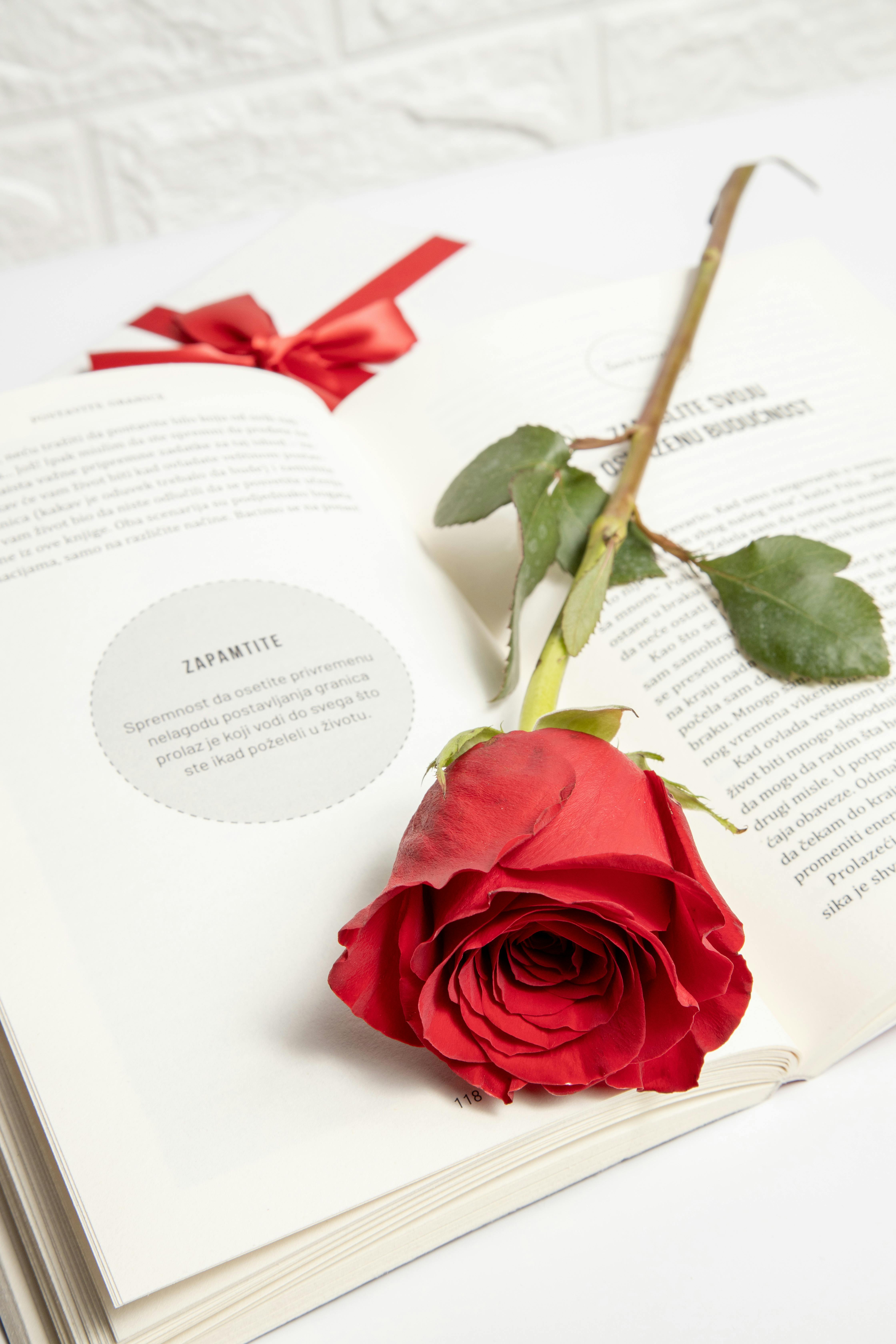 Red Rose on White Book Page · Free Stock Photo