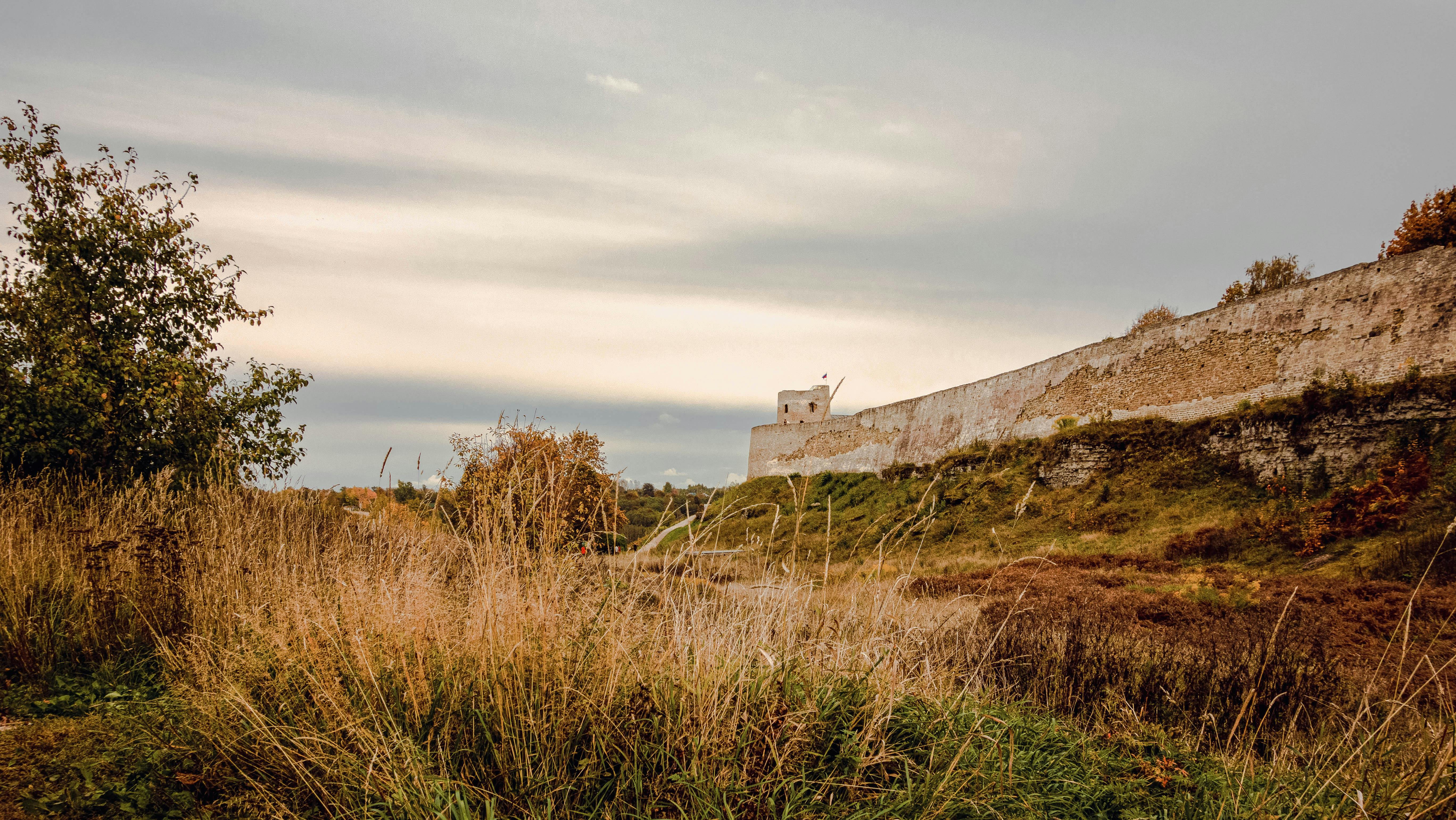 Grass and Shrubs of a Field by a Castle Wall · Free Stock Photo