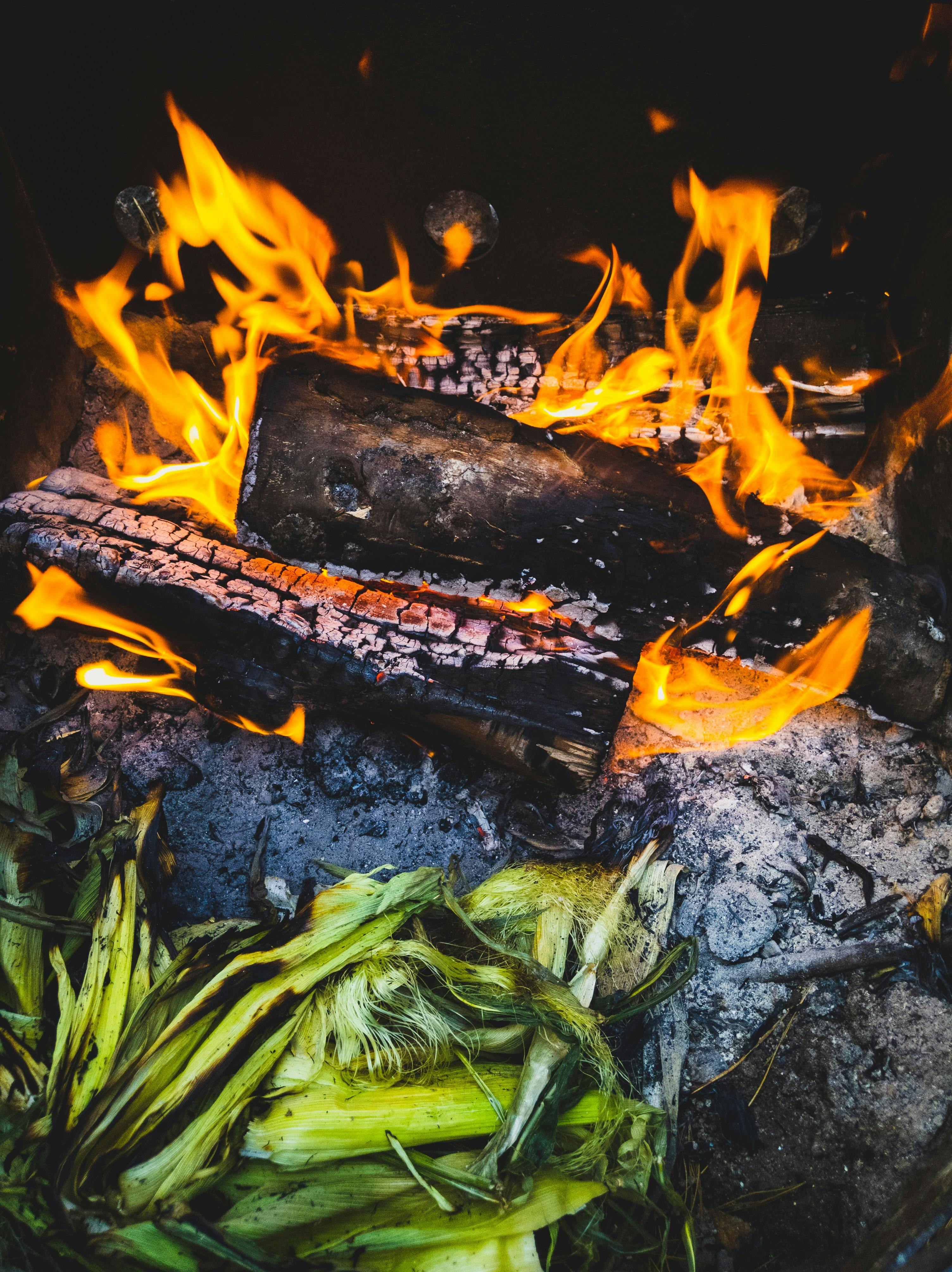 Brown Wooden Log on Fire · Free Stock Photo
