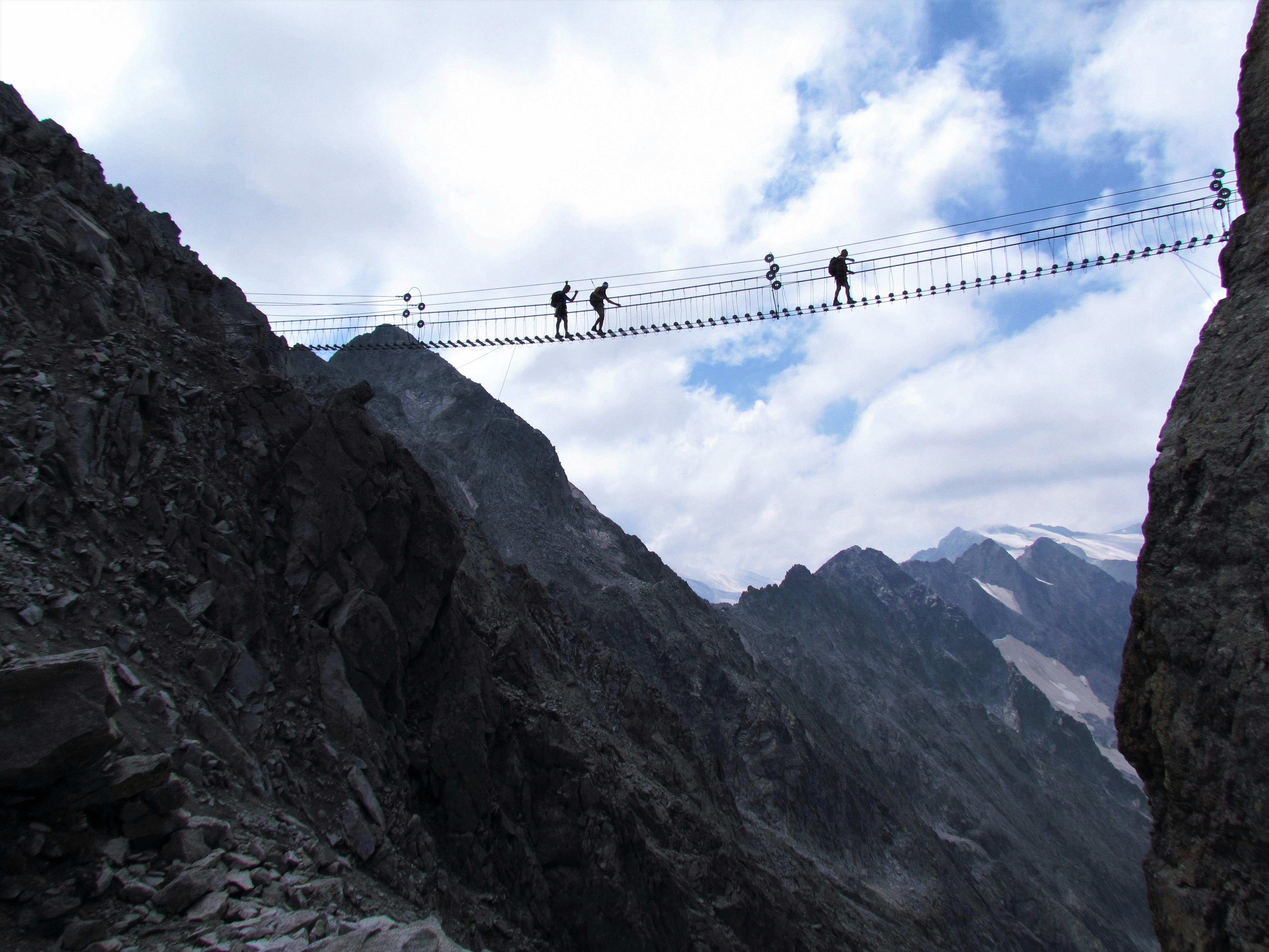 People Walking on Suspension Bridge in Forest · Free Stock Photo