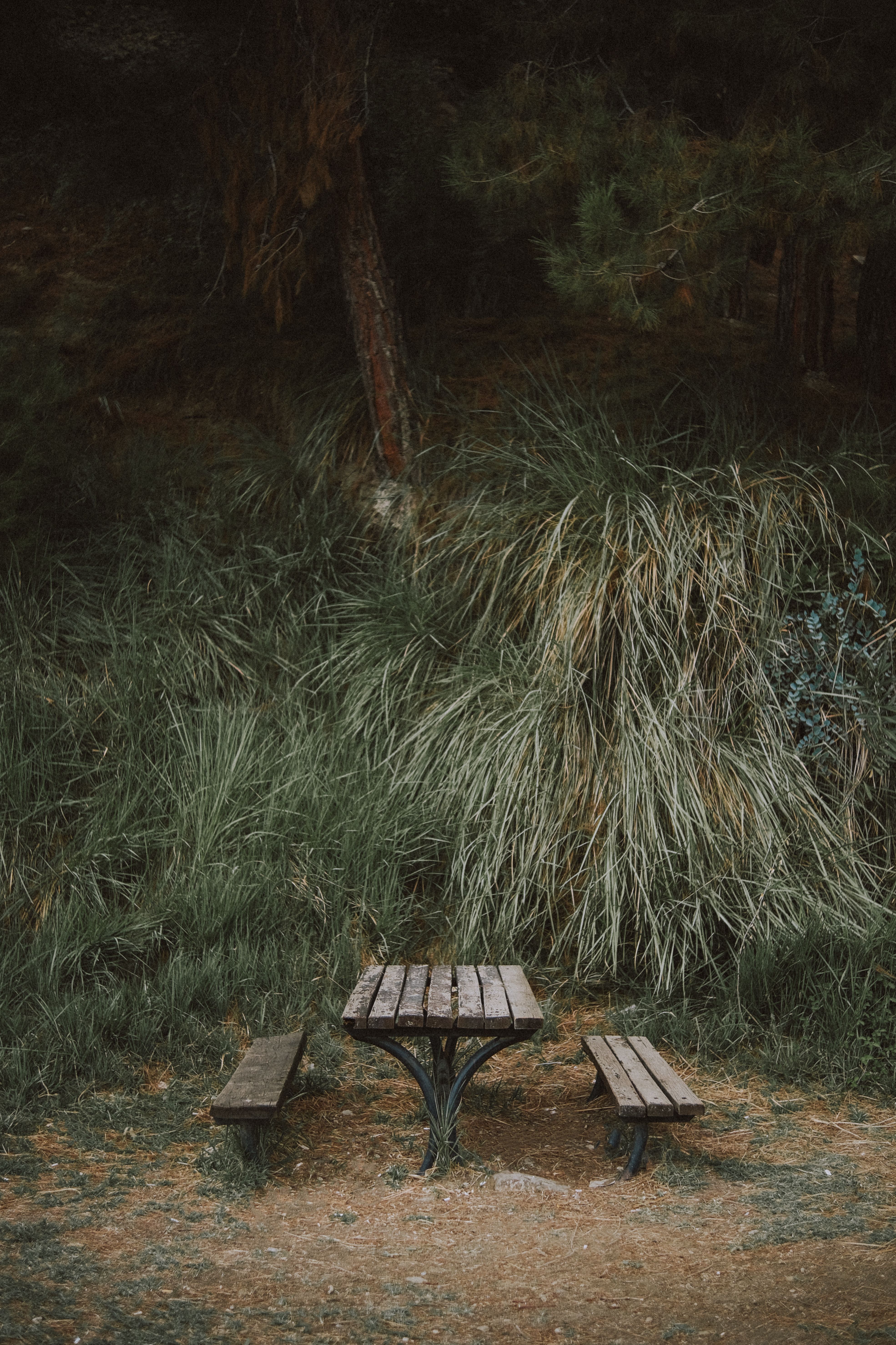 Benches and Table in a Forest · Free Stock Photo