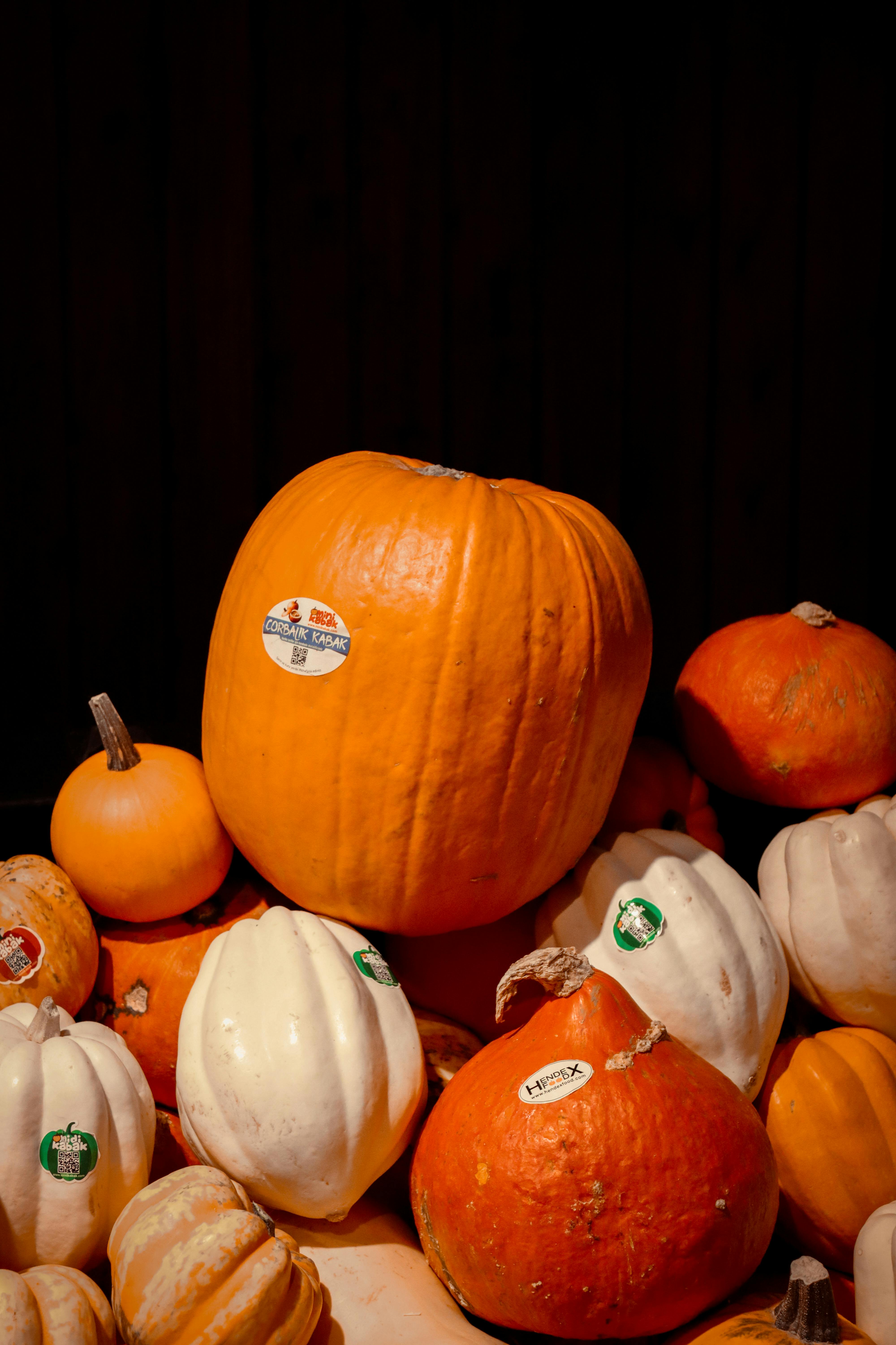 Pile of Pumpkin · Free Stock Photo