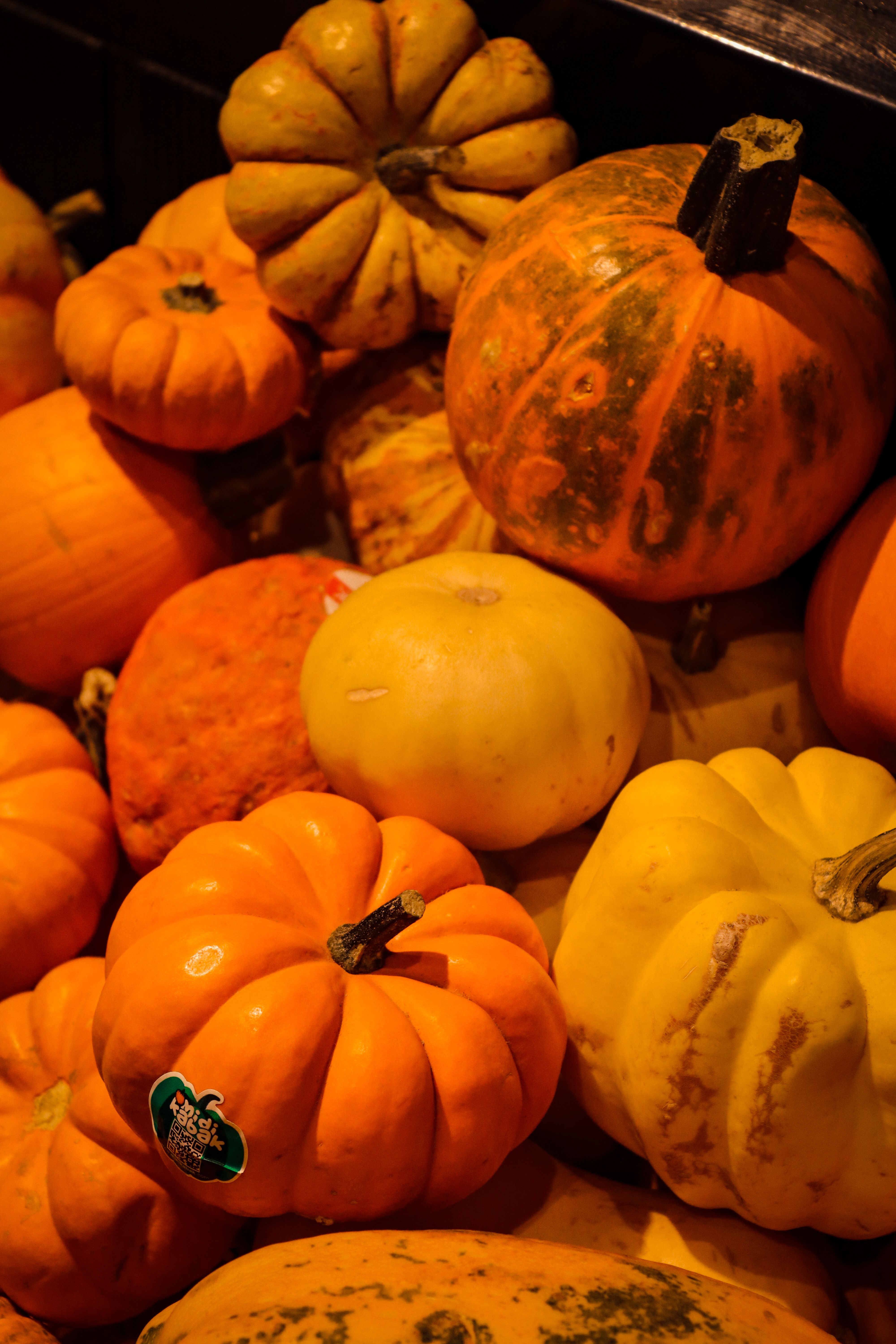Selective Focus Photo Of Pumpkins · Free Stock Photo