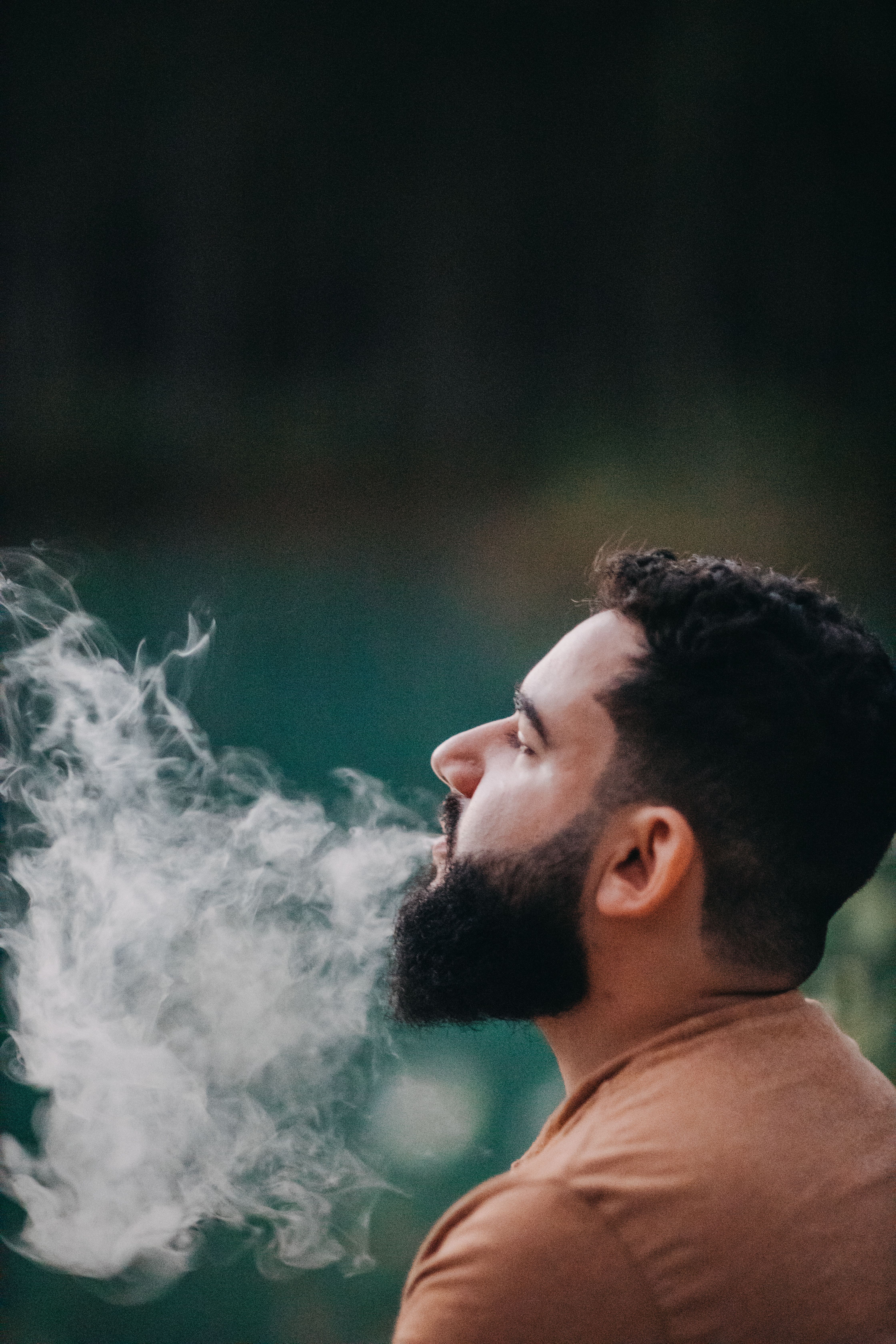 Profile of a Bearded Man Exhaling Smoke · Free Stock Photo