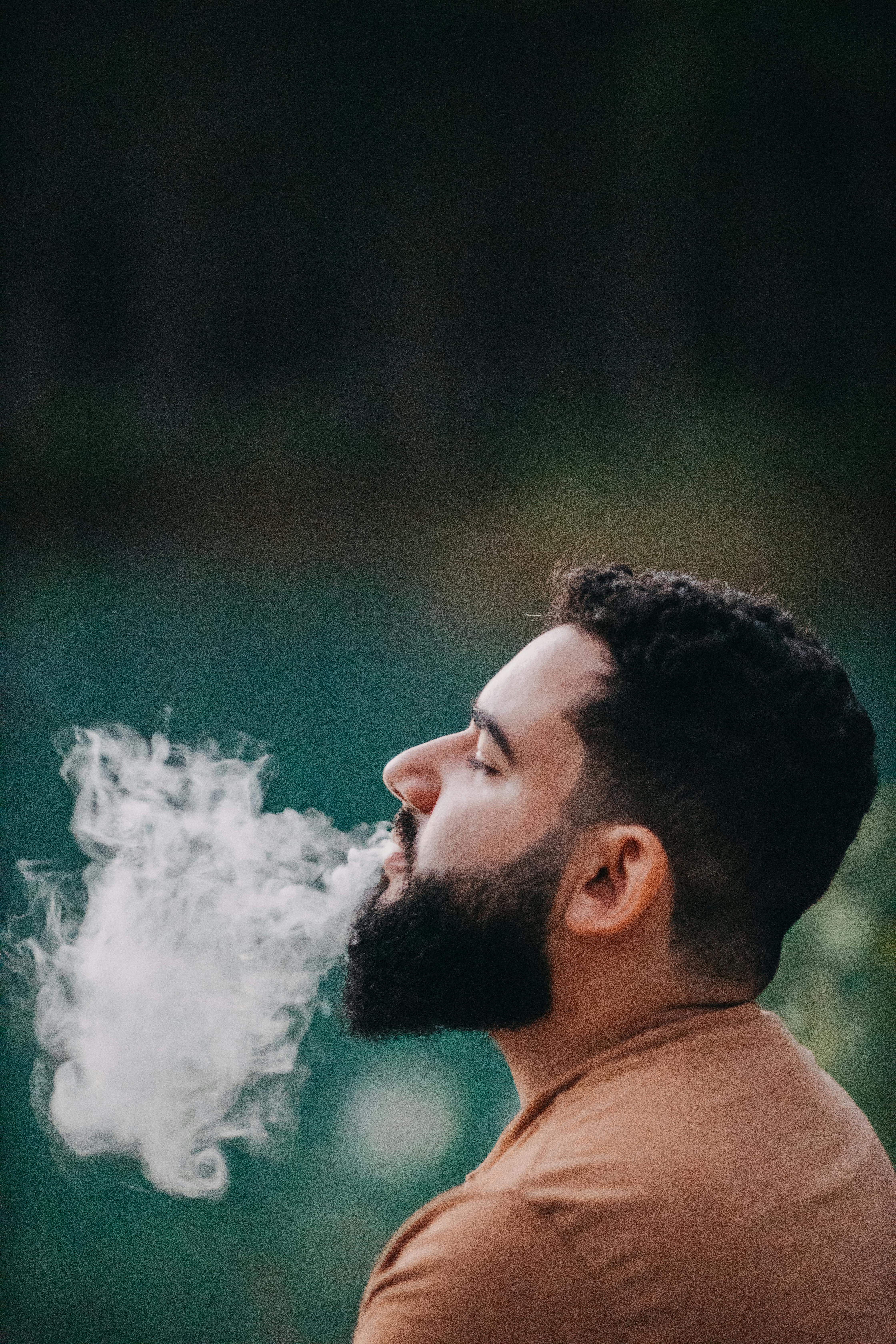 Profile of a Bearded Man Exhaling Smoke · Free Stock Photo