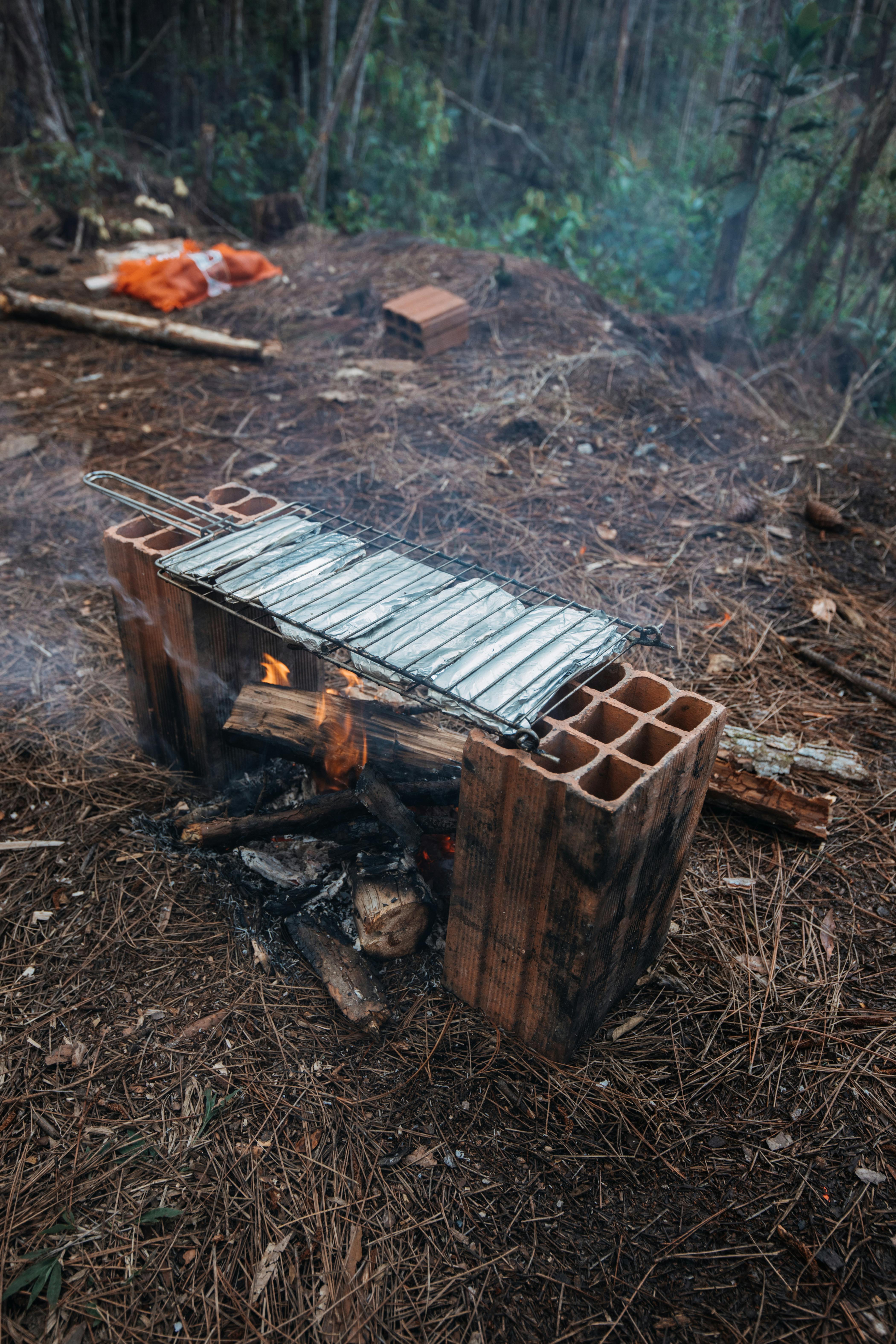 Campfire in the Forest · Free Stock Photo