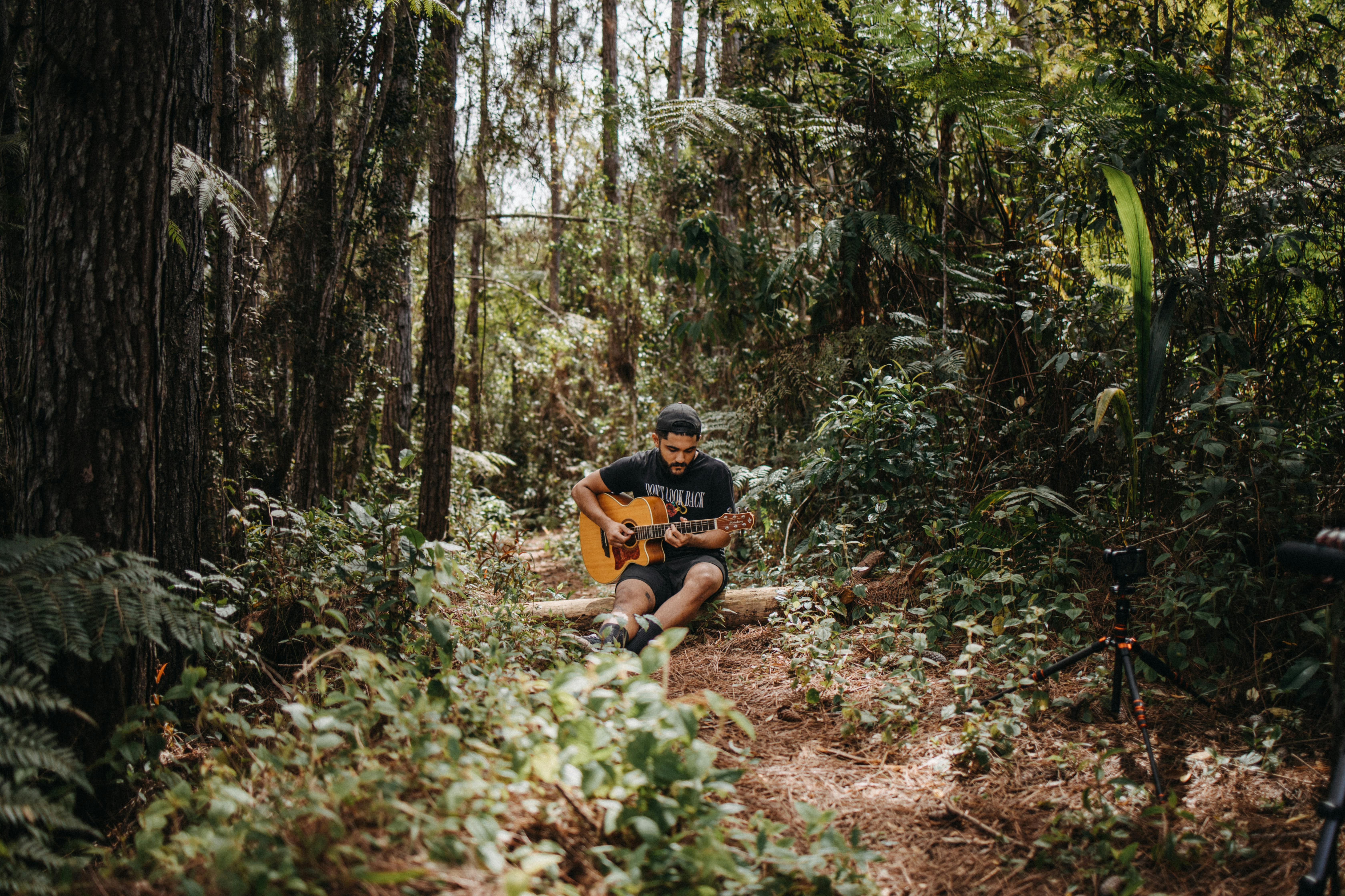 Man Sitting on a Timber in a Jungle and Playing Acoustic Guitar · Free ...