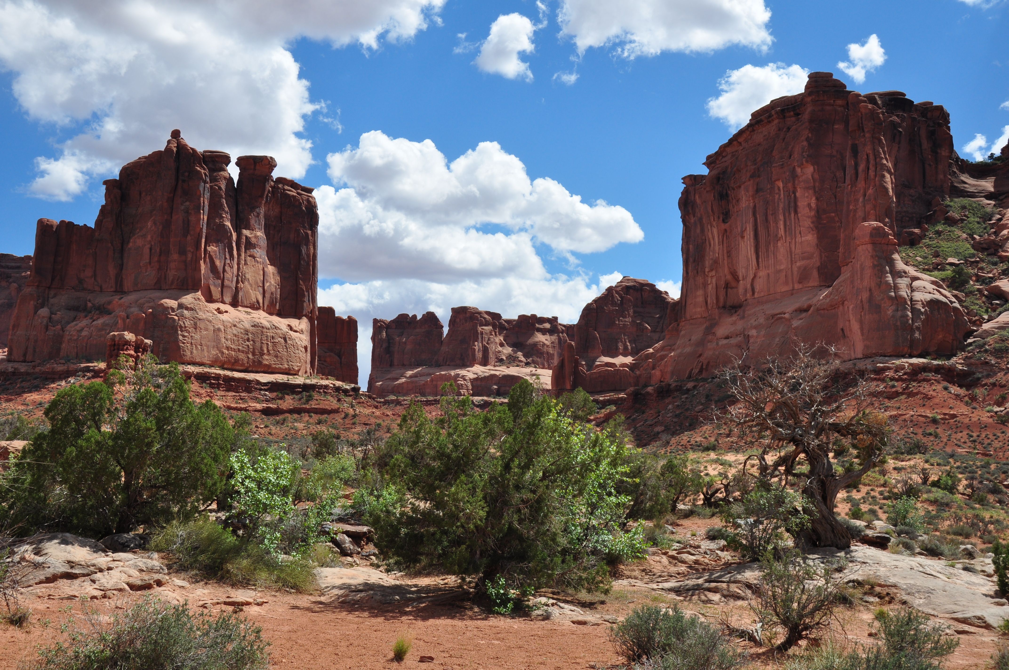 Desert and Canyon Landscape · Free Stock Photo