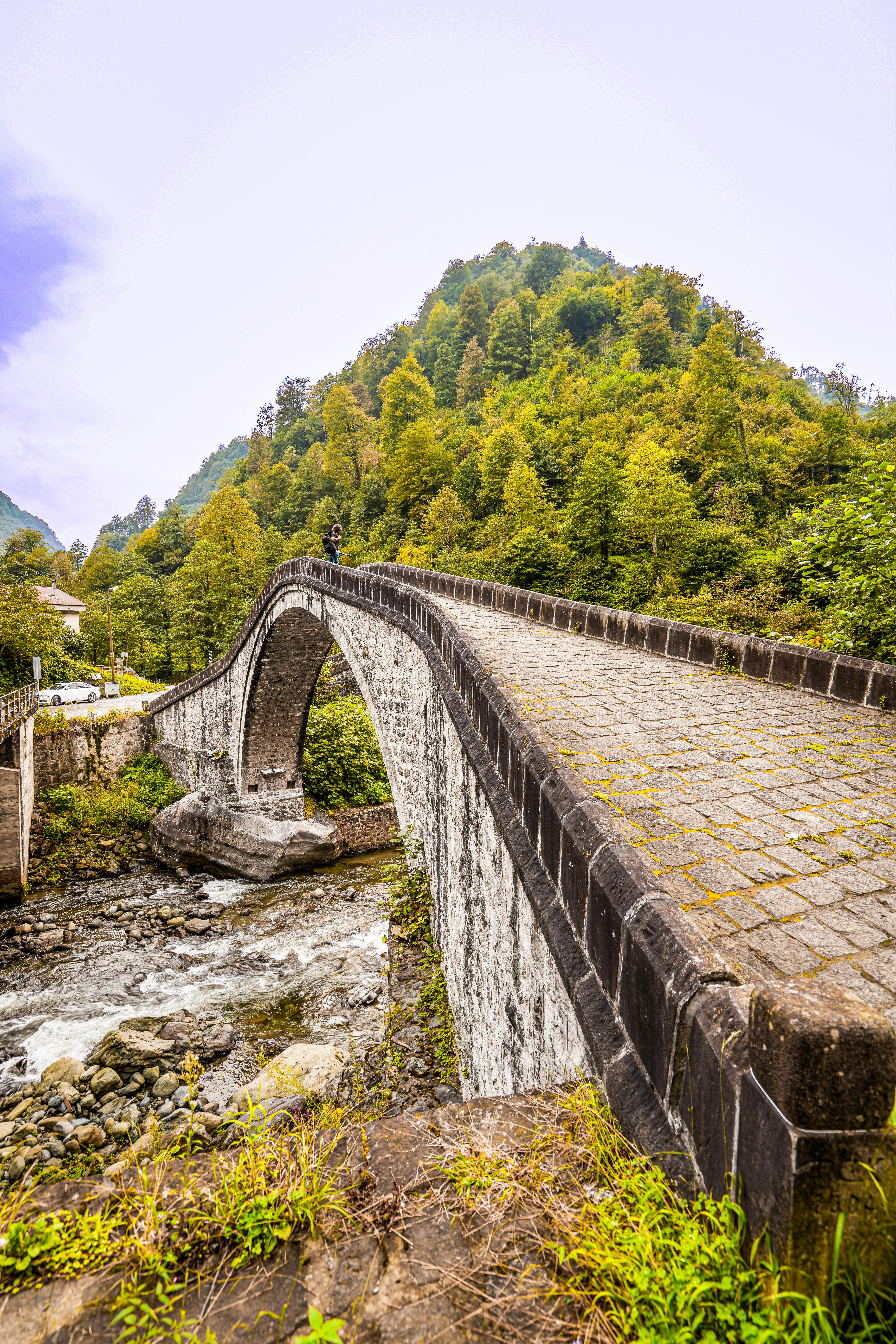 A Bridge over a River · Free Stock Photo
