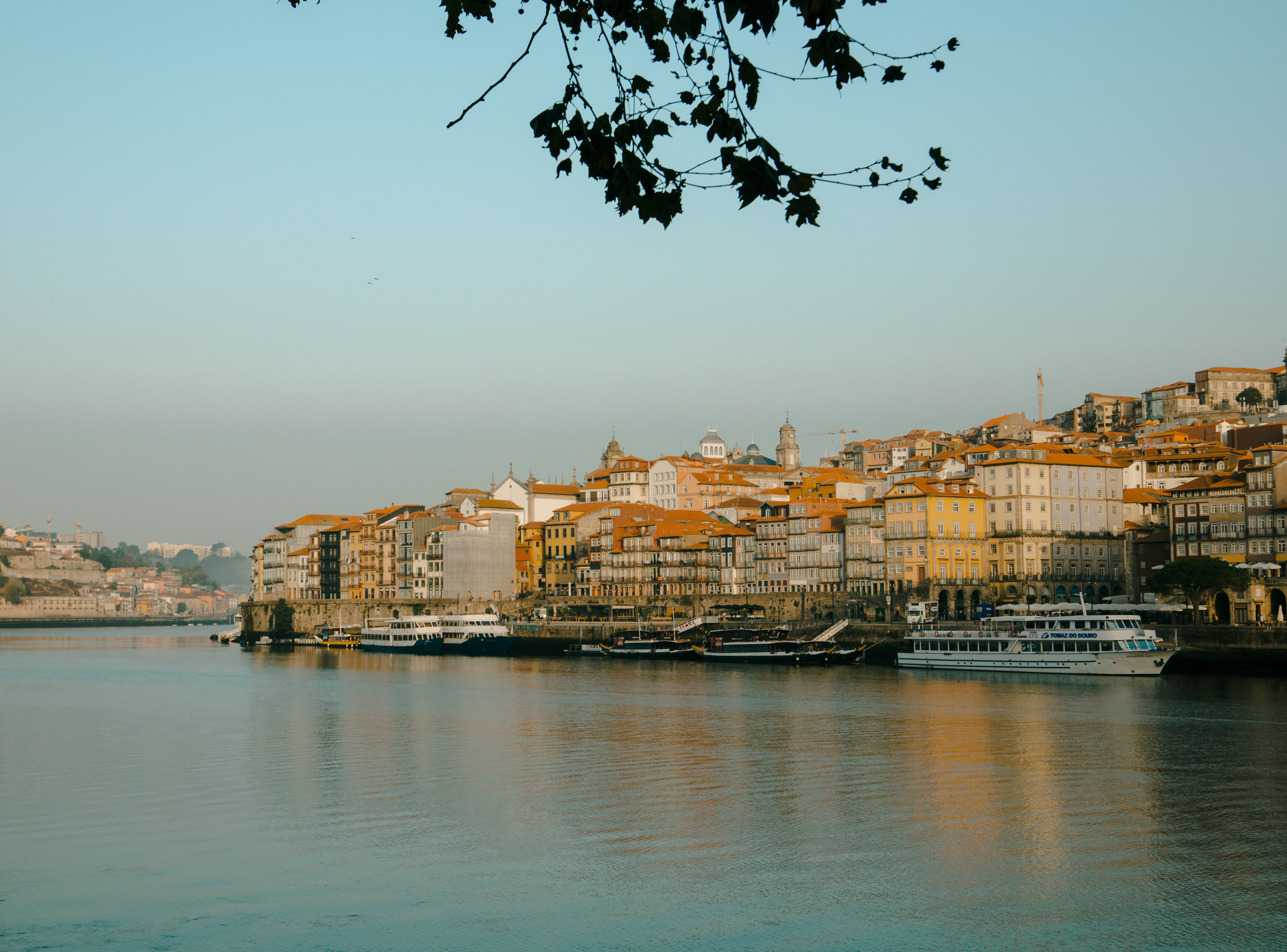 Aerial View of Waterfront Houses in Porto, Portugal · Free Stock Photo