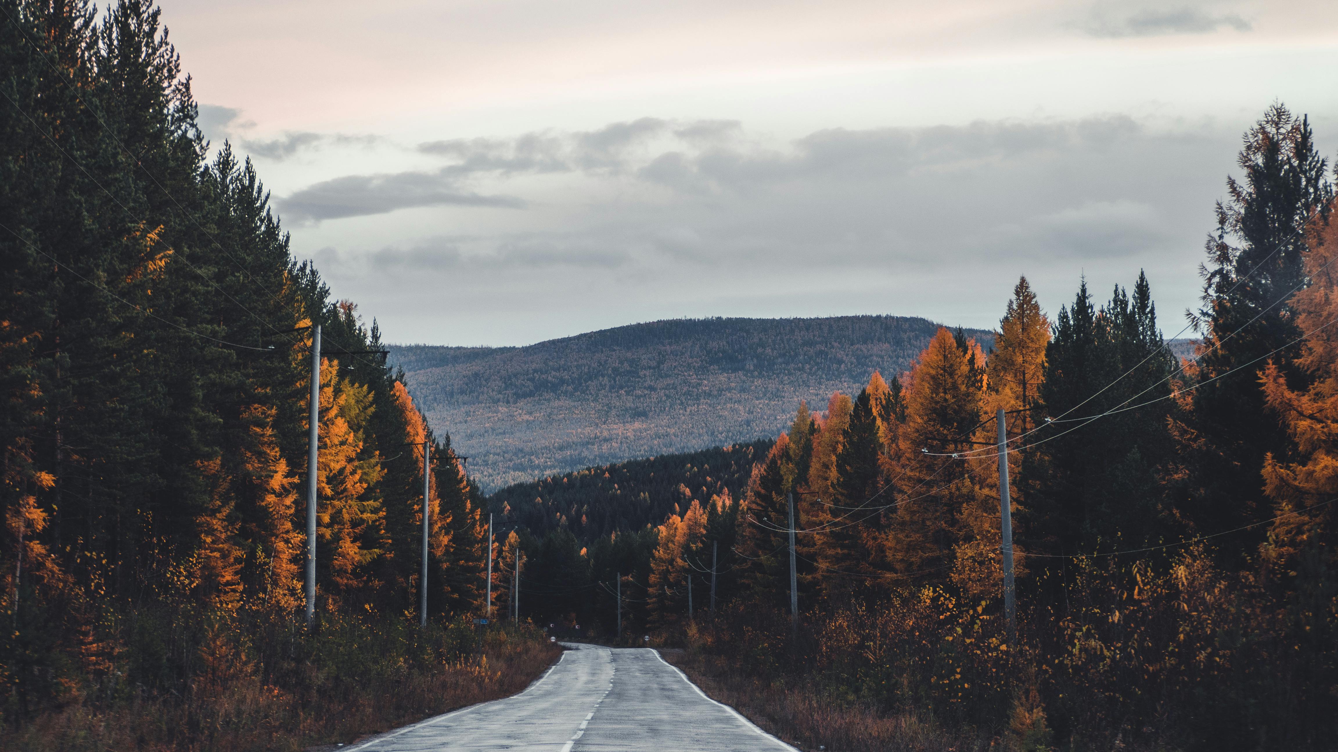 Electric Posts · Free Stock Photo