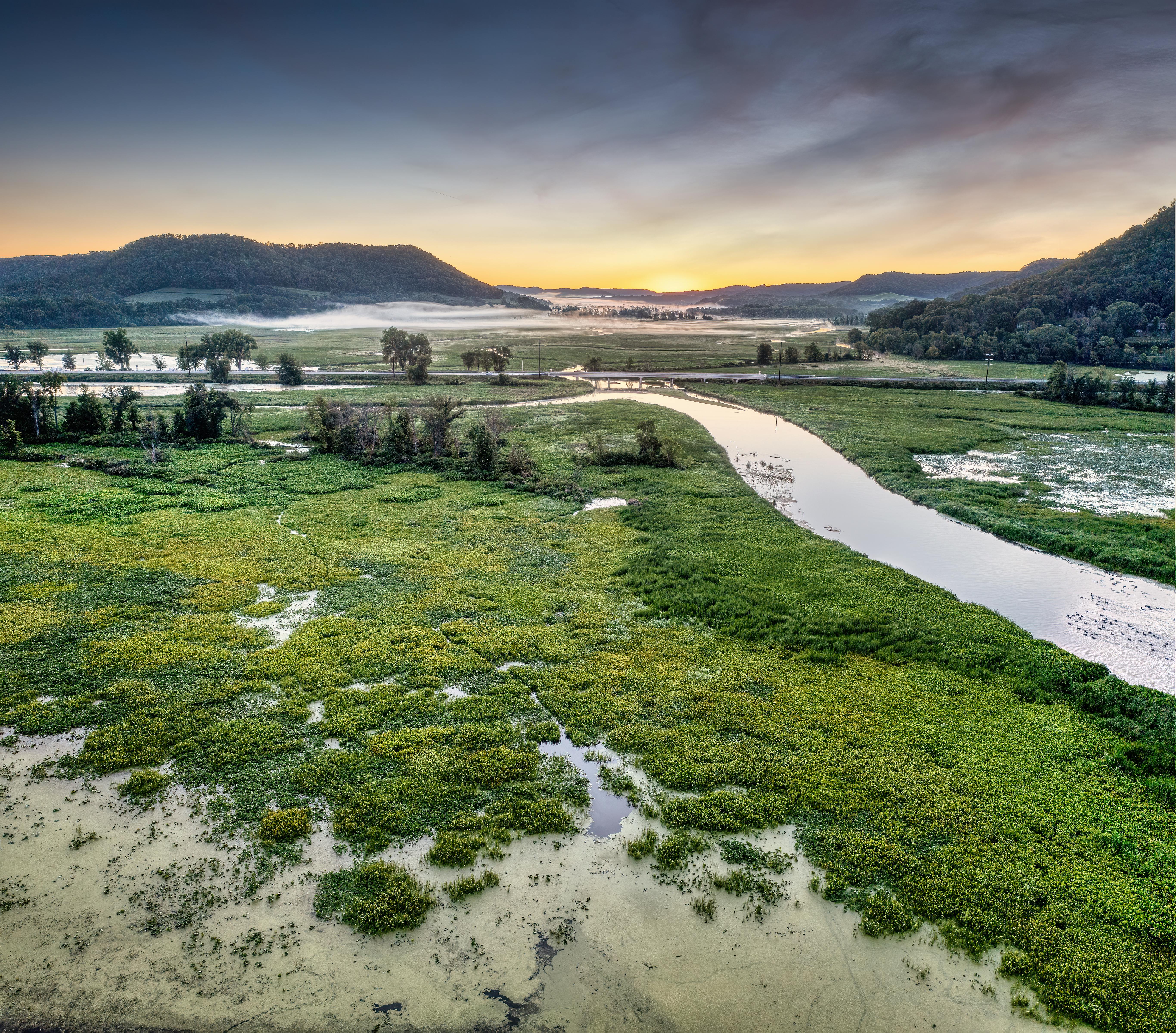 River on Swamp at Sunset · Free Stock Photo