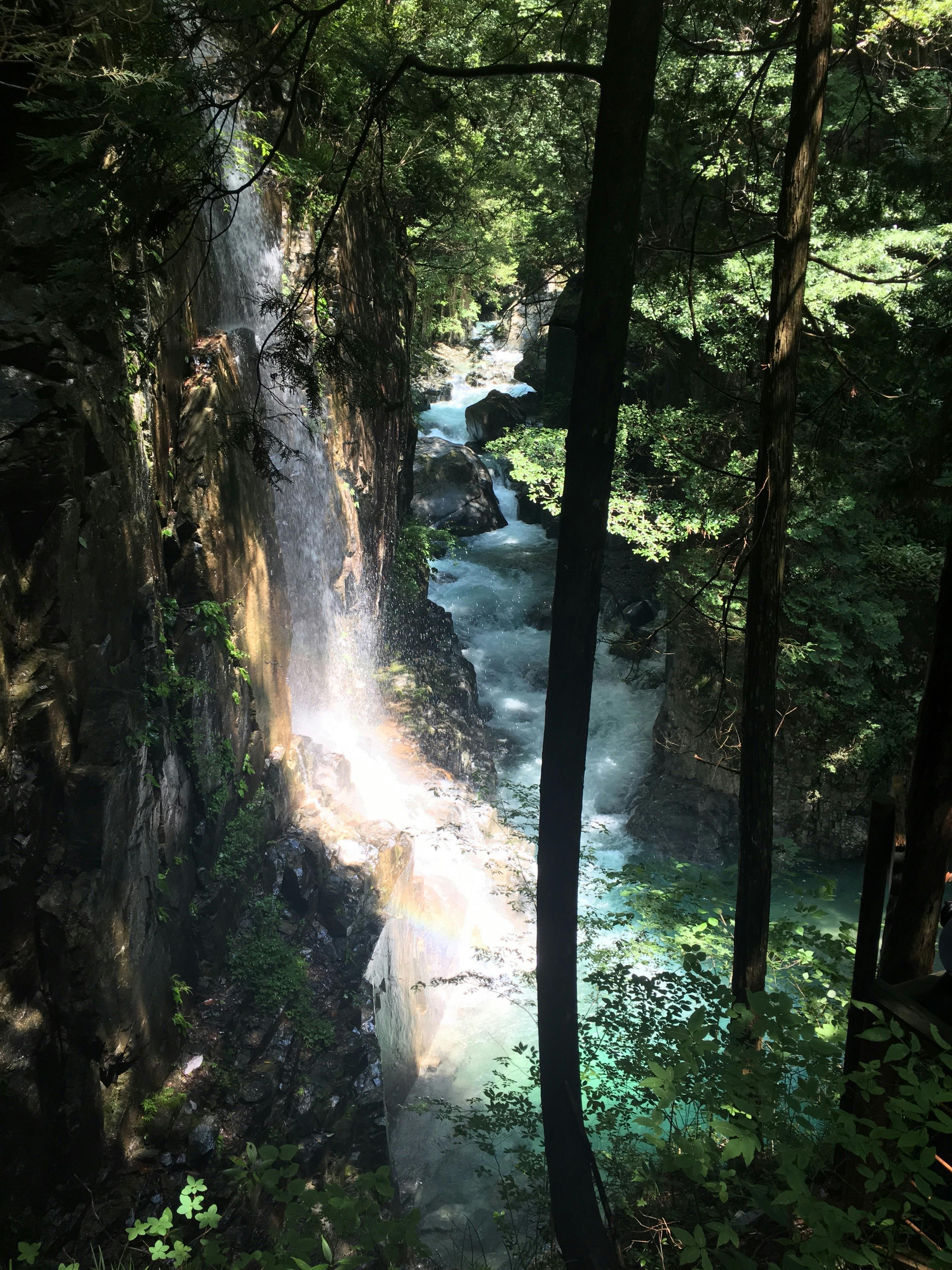 Waterfalls Surrounded by Green Trees in the Forest · Free Stock Photo