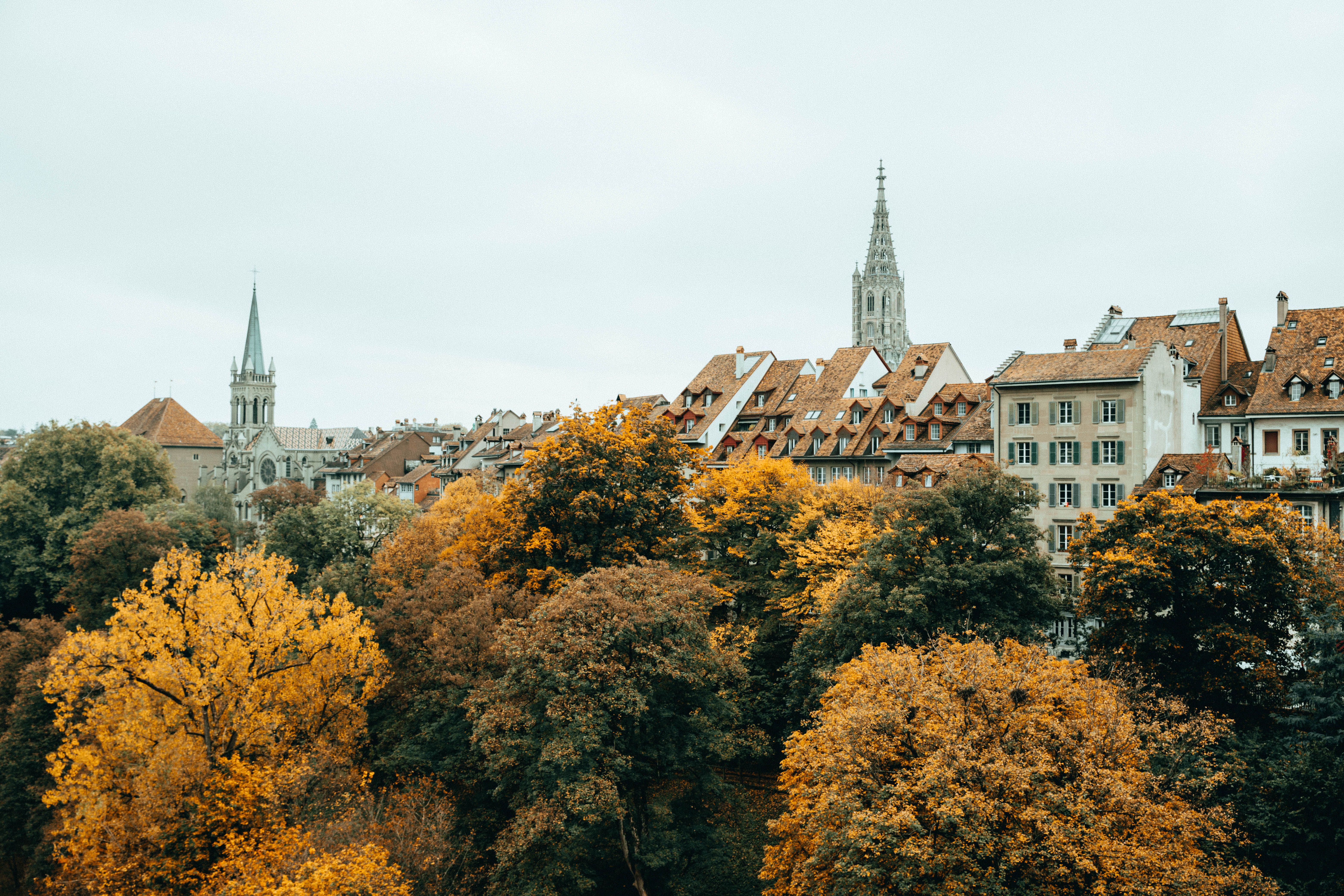Colorful Trees in Town in Autumn · Free Stock Photo