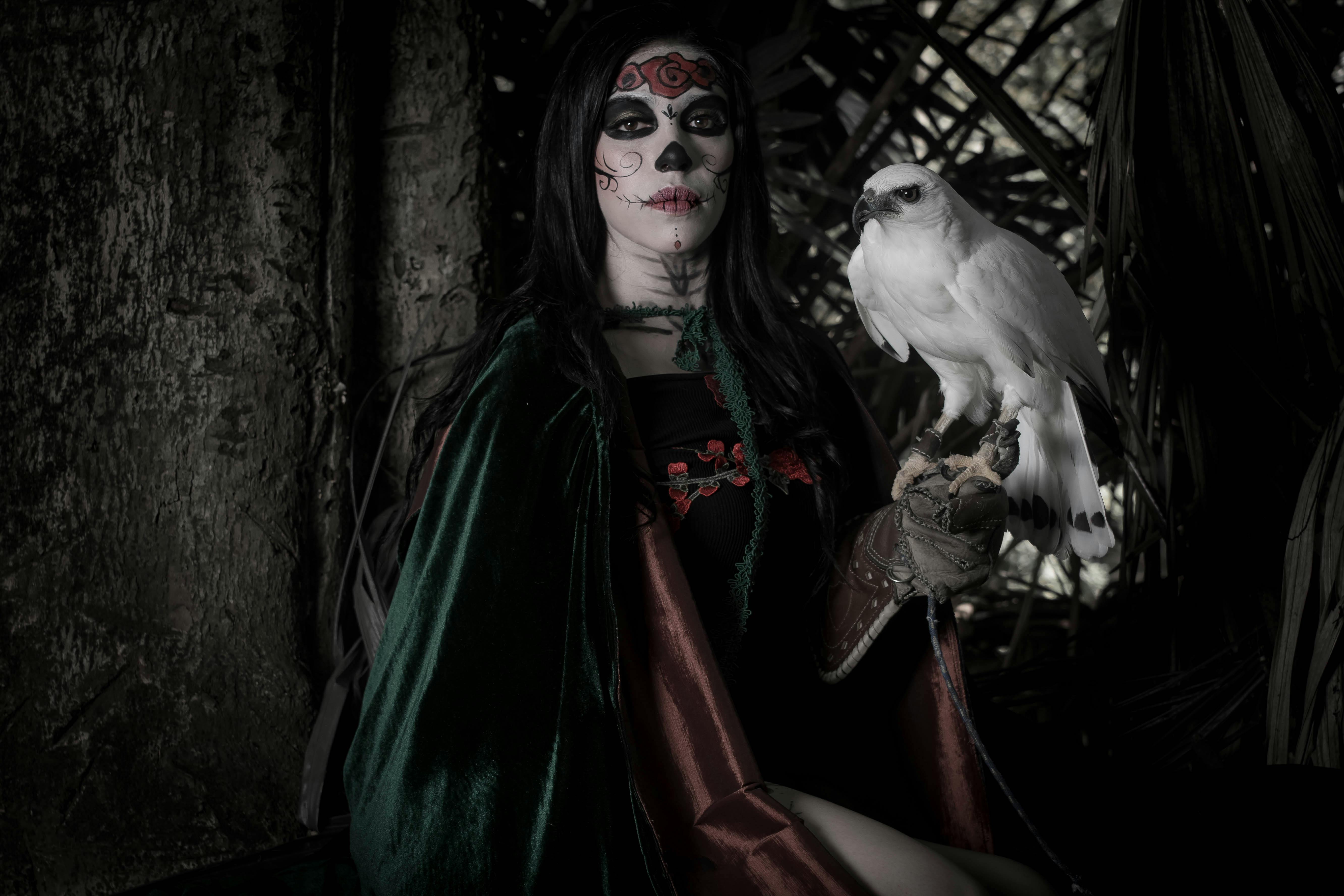 A Woman in a Costume with a White Hawk · Free Stock Photo