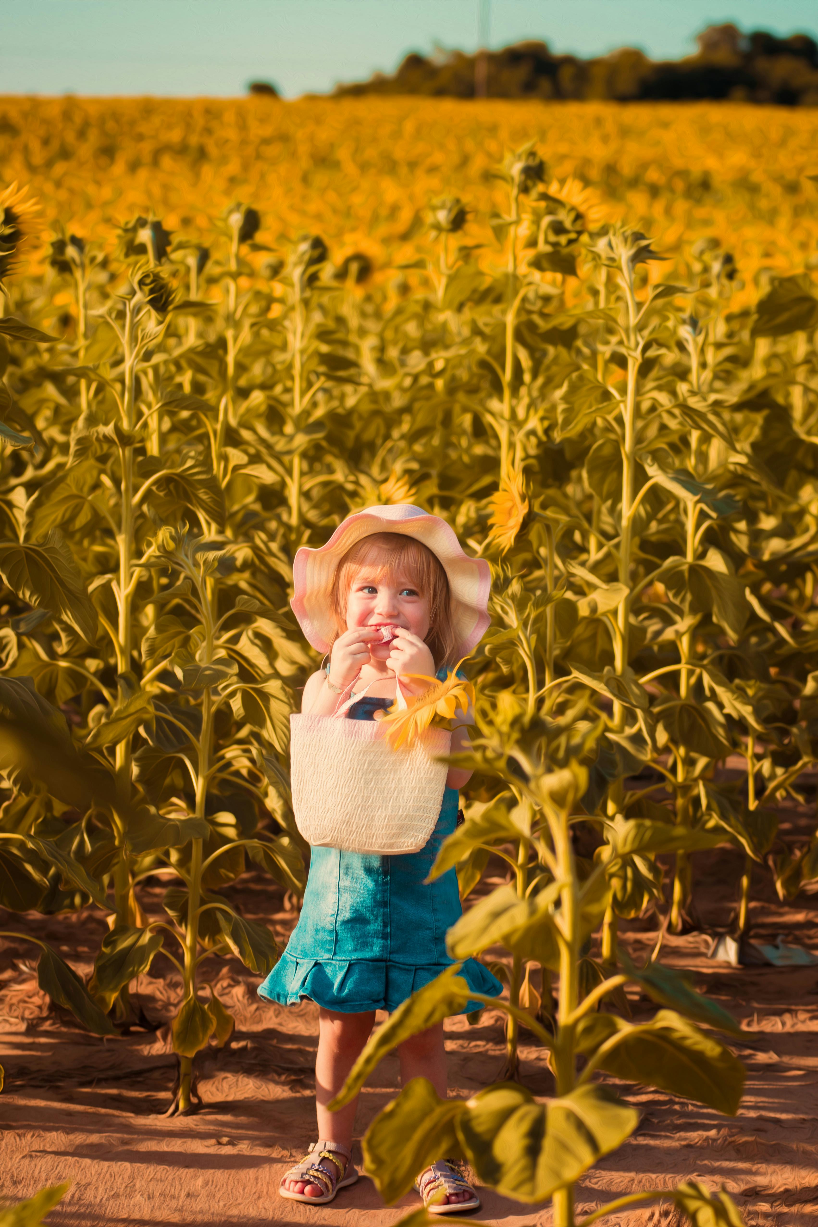 Tracking Bag Photos, Download Free Tracking Bag Stock Photos & HD Images