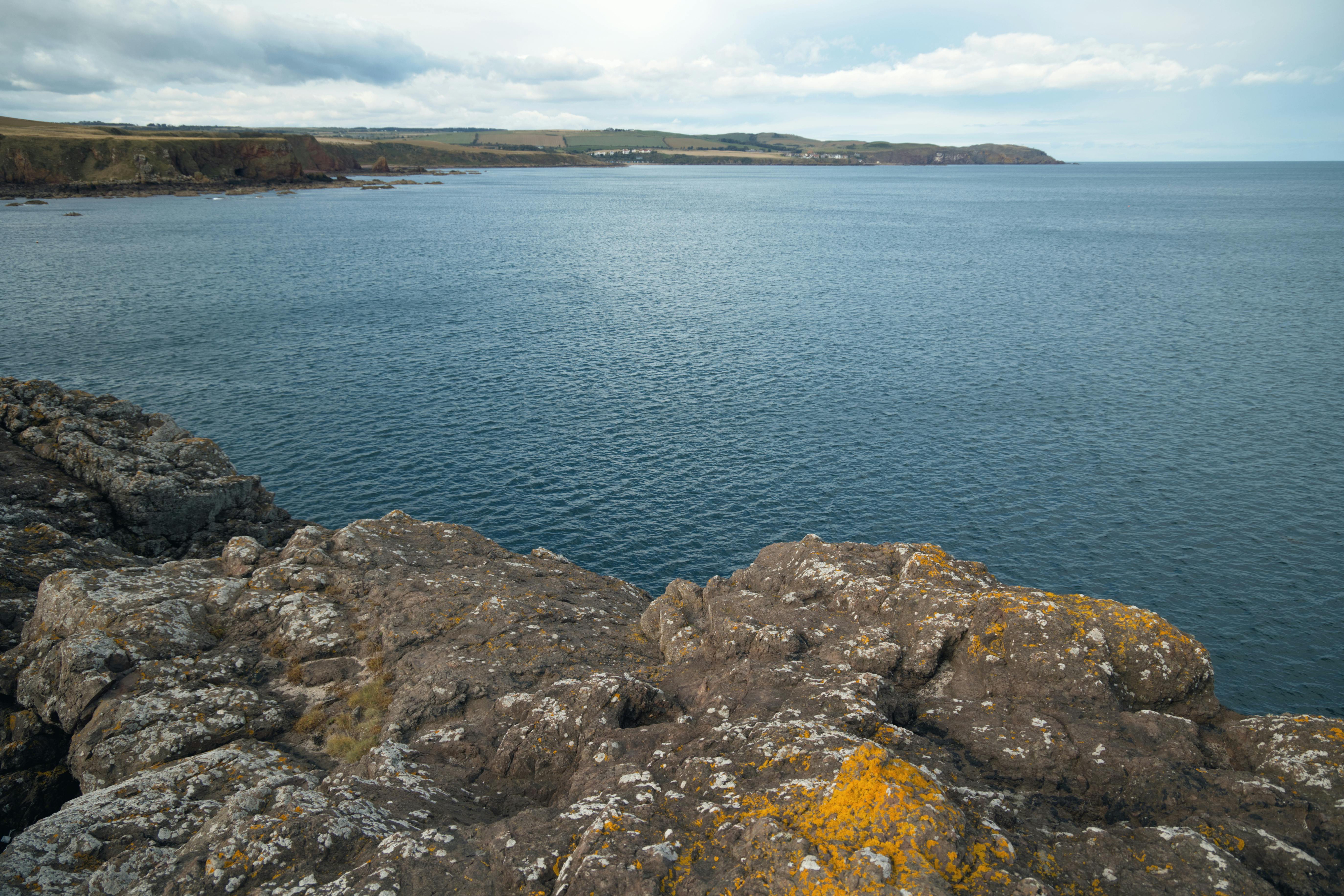 Sea Bay and Coastline · Free Stock Photo