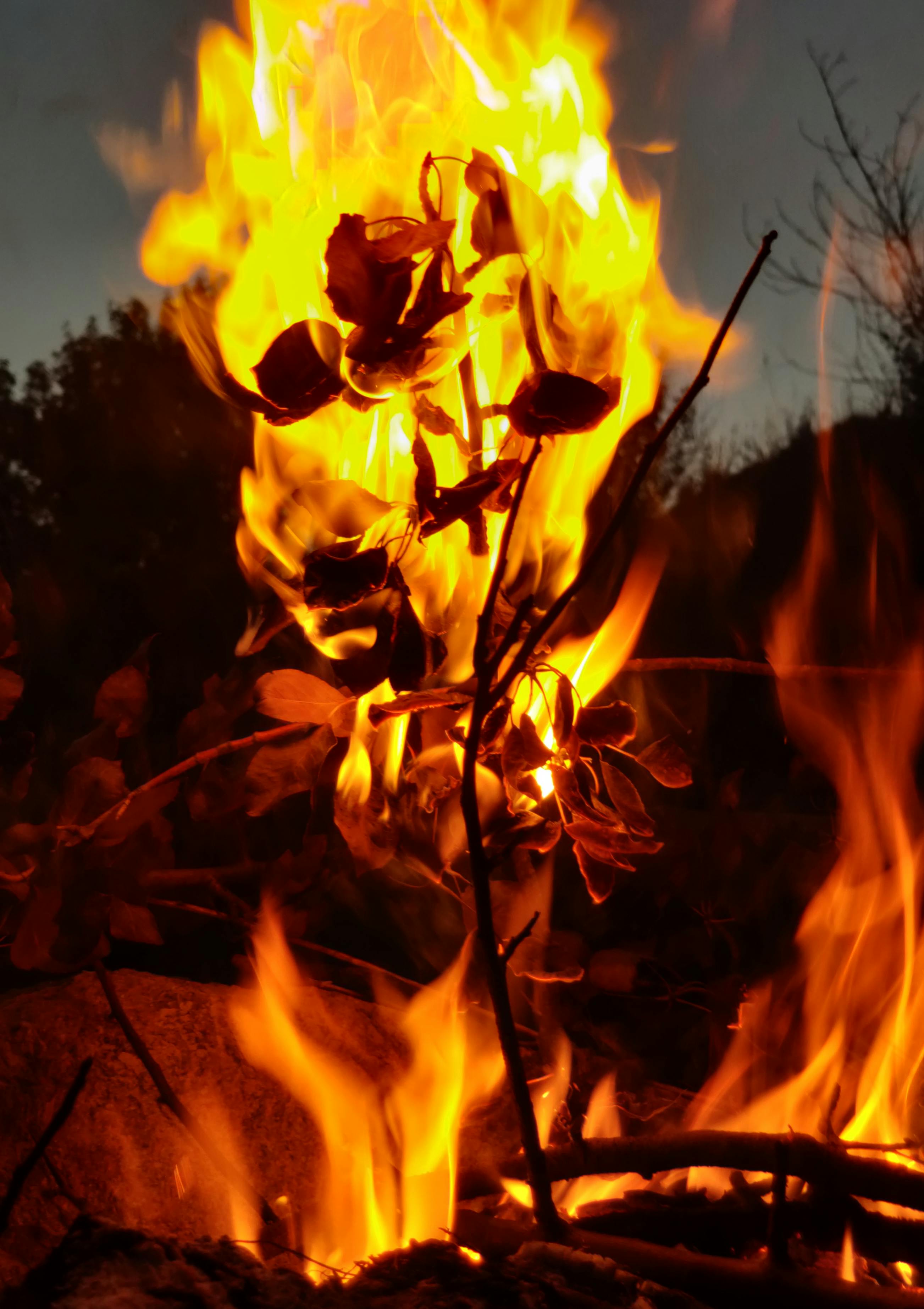 Photo of Bonfire Placed on High Ground in Front of City Under Cloudy ...