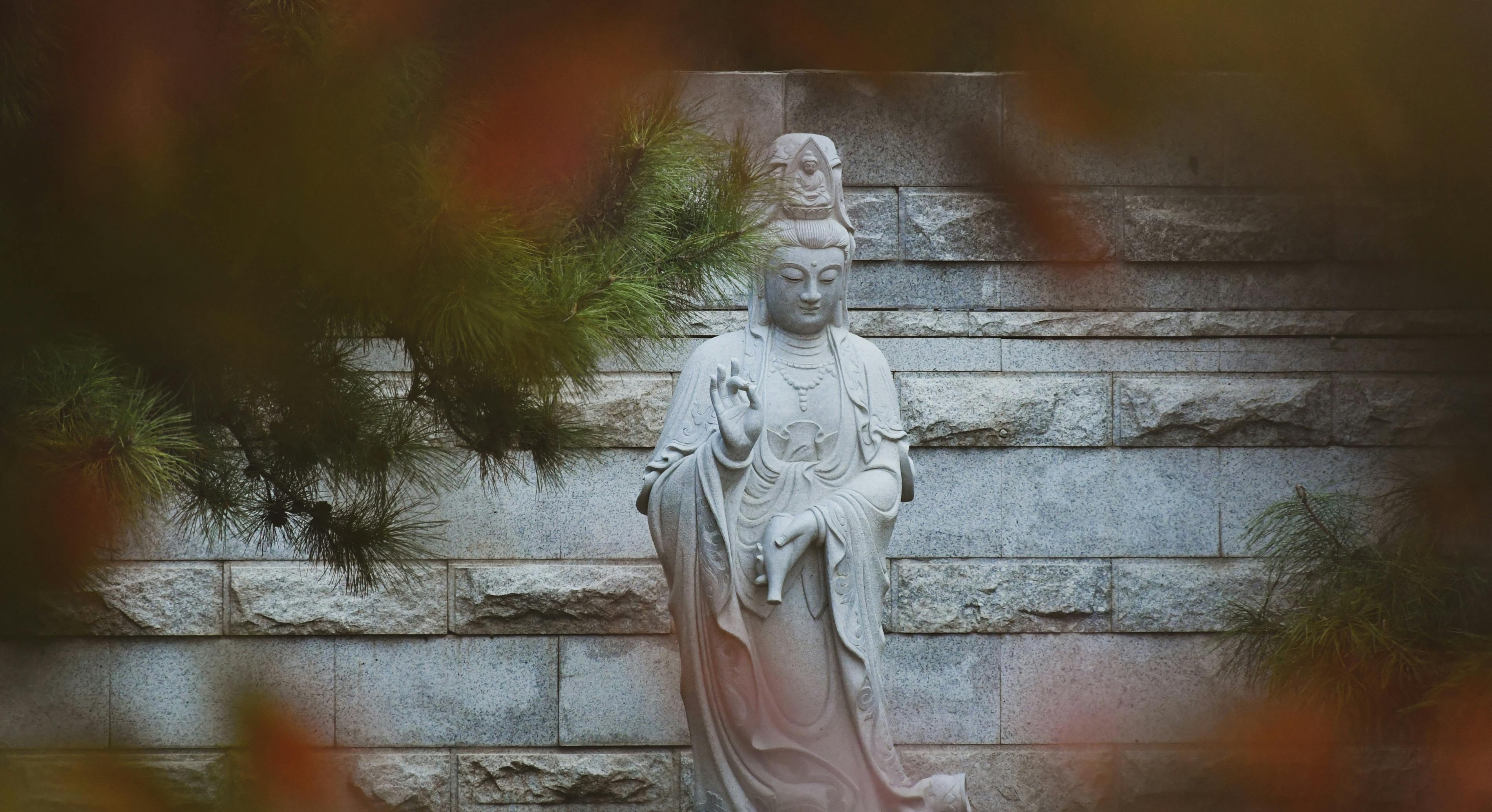 A Buddha with Aakash Mudra Hand Sign · Free Stock Photo