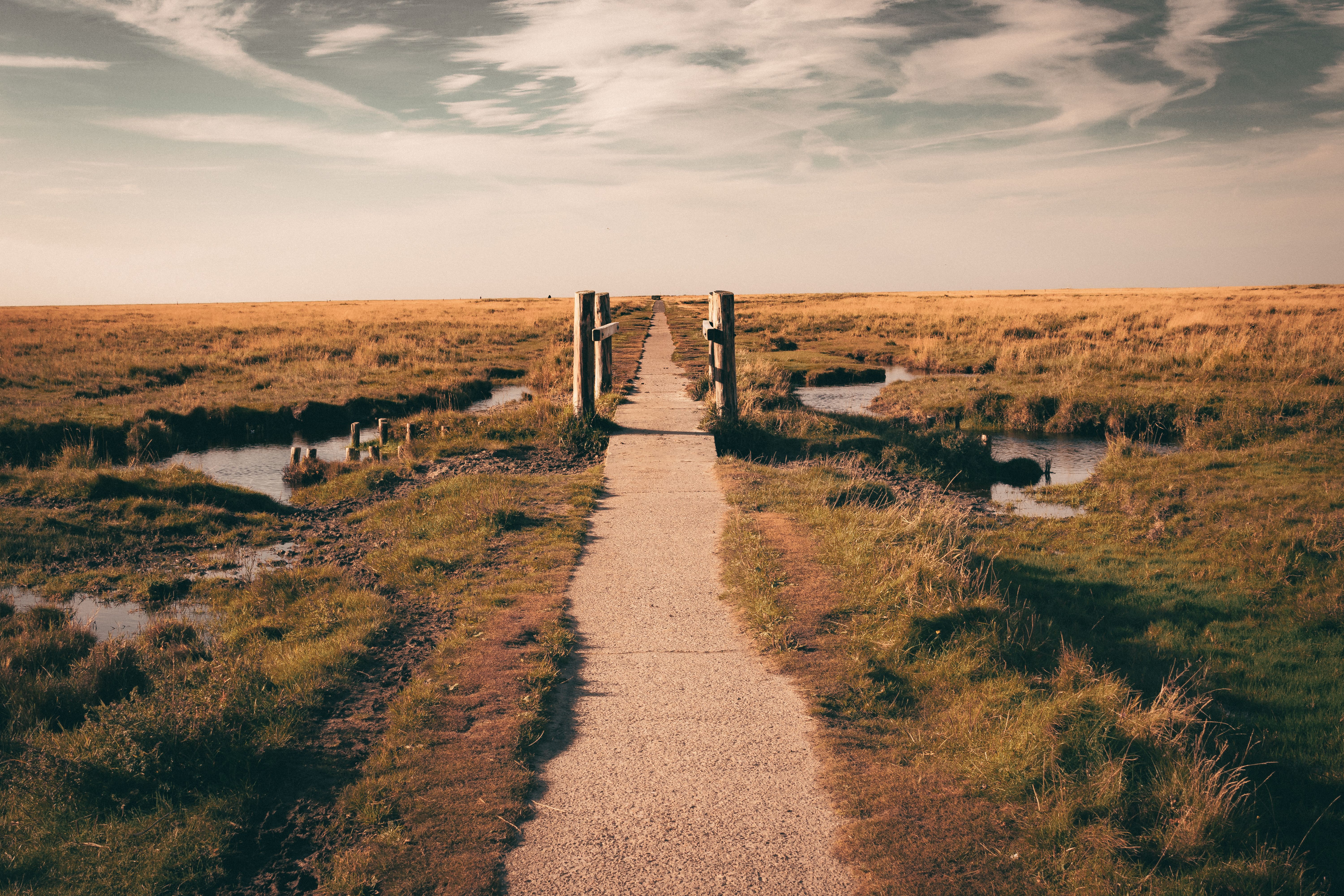 Grass by the Path in Shadow · Free Stock Photo