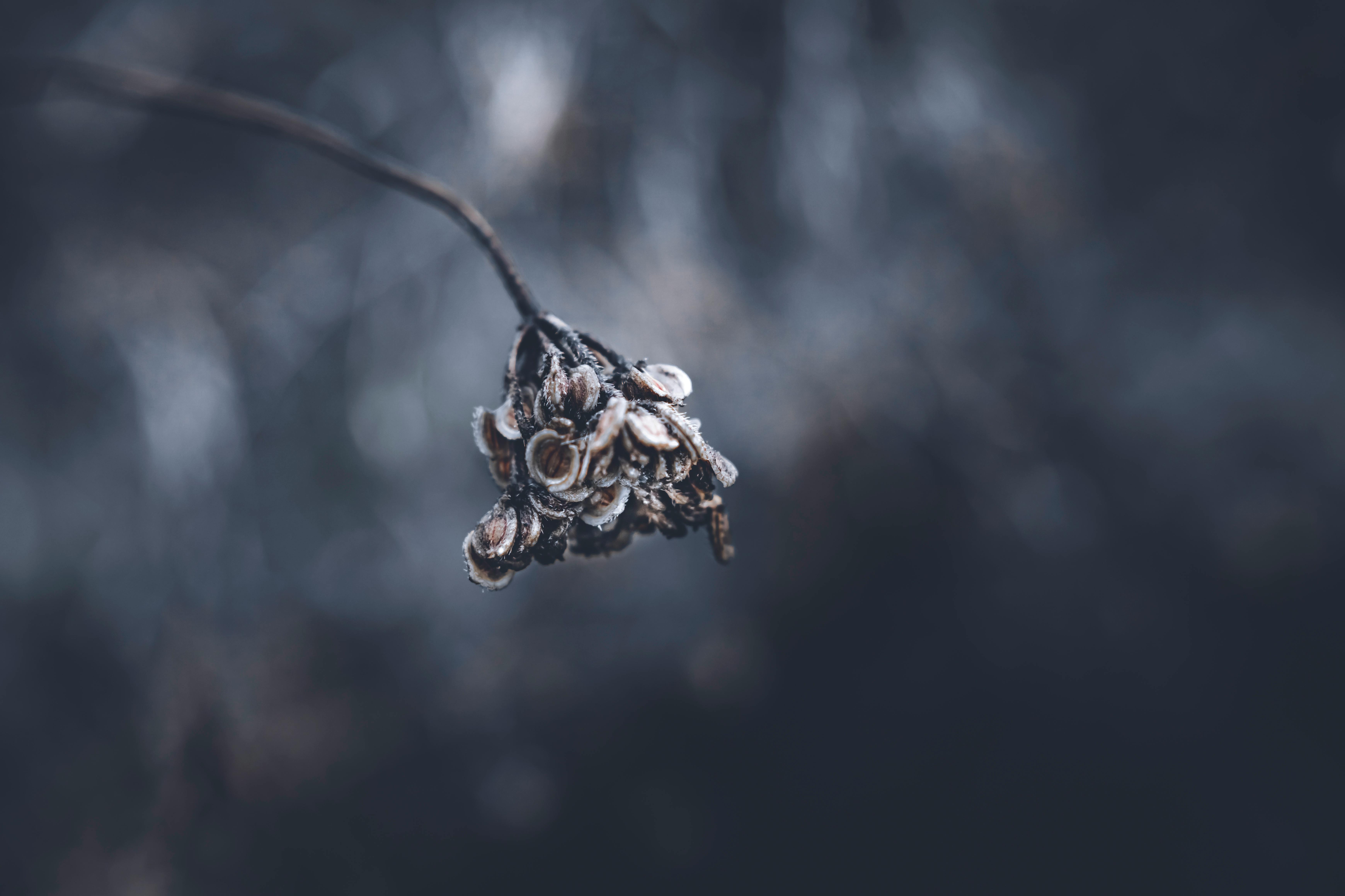 Thin Photos, Download The BEST Free Thin Stock Photos & HD Images