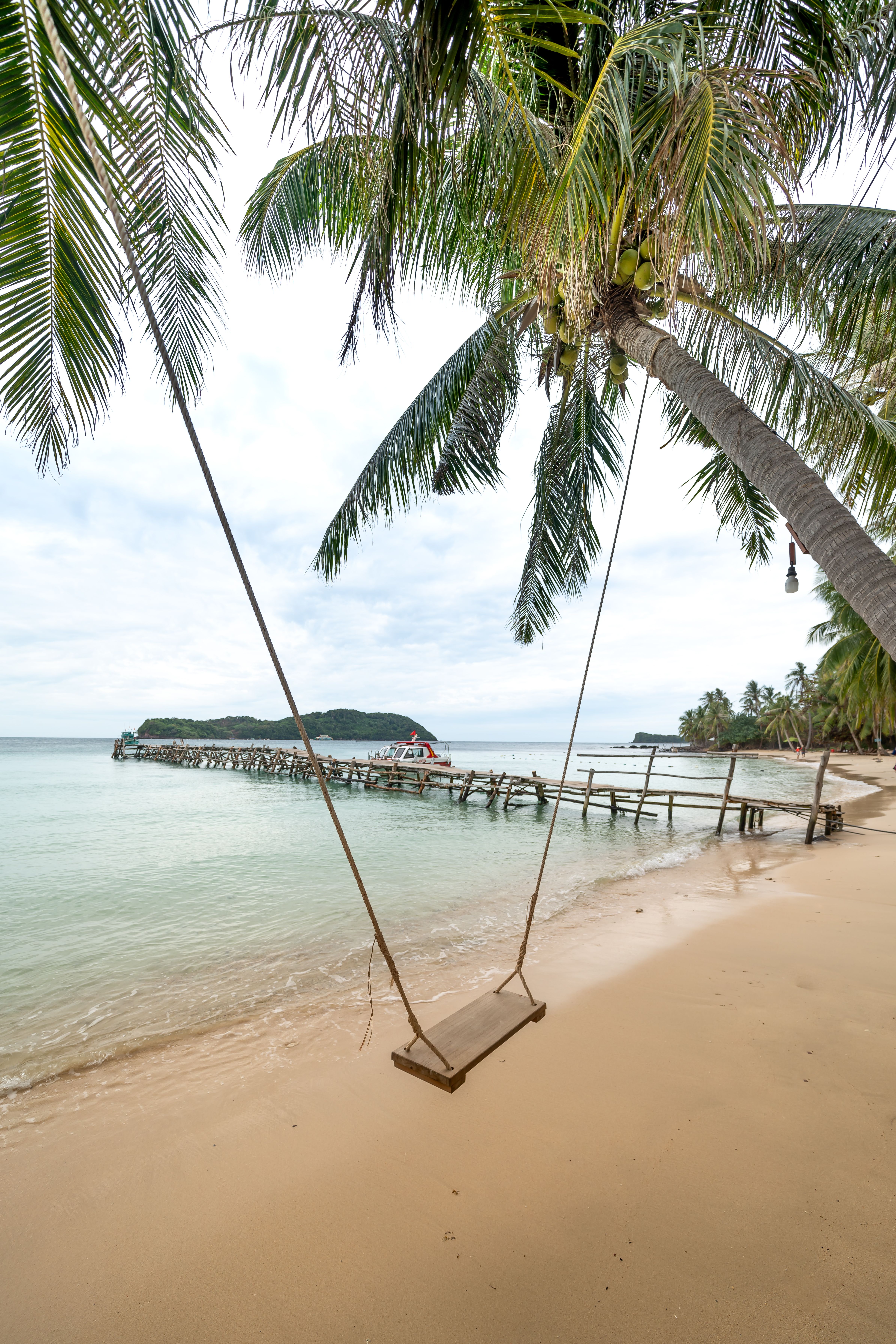 A Swing at a Beachfront · Free Stock Photo