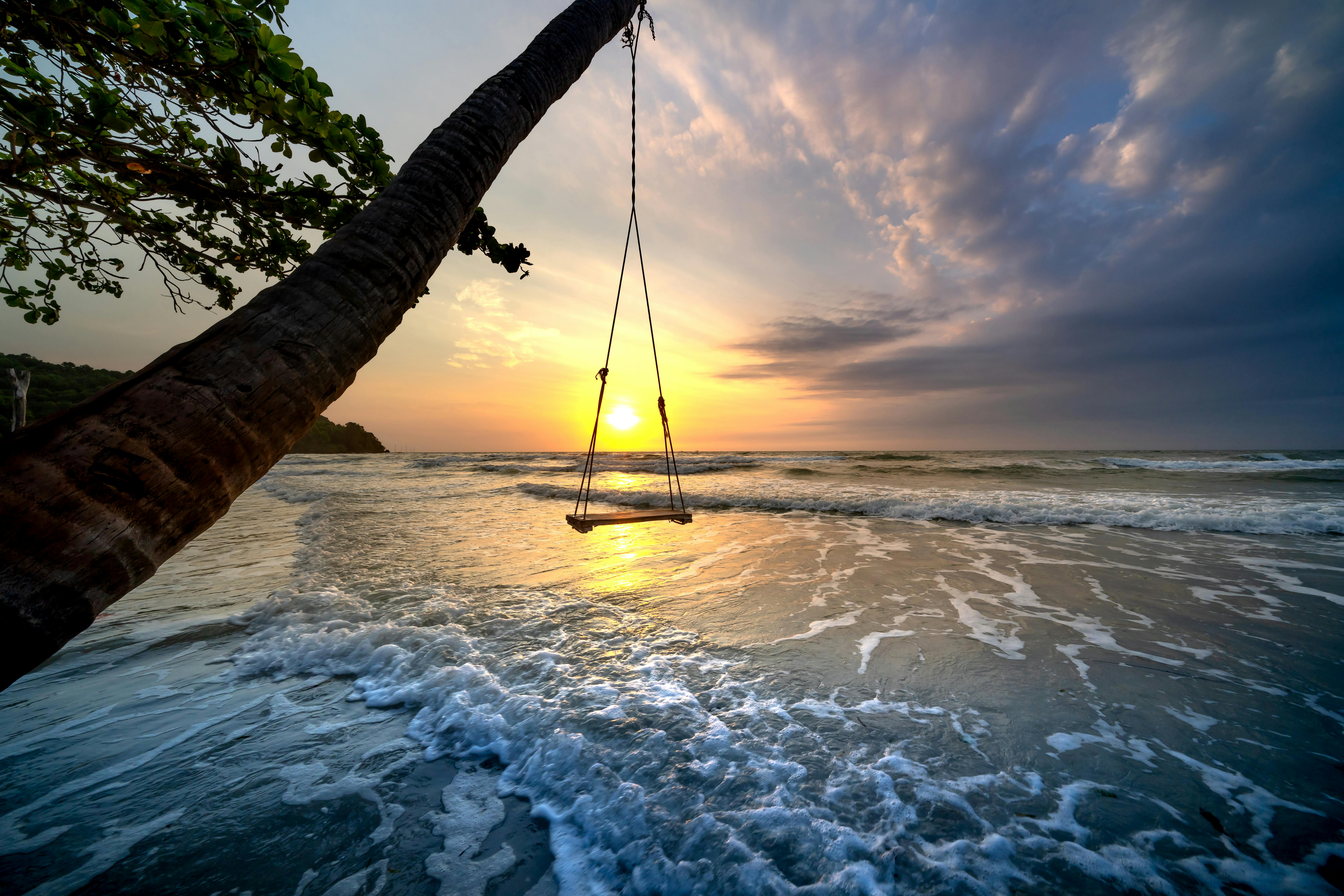 Wooden Swing Hanging on Palm Tree Trunk · Free Stock Photo