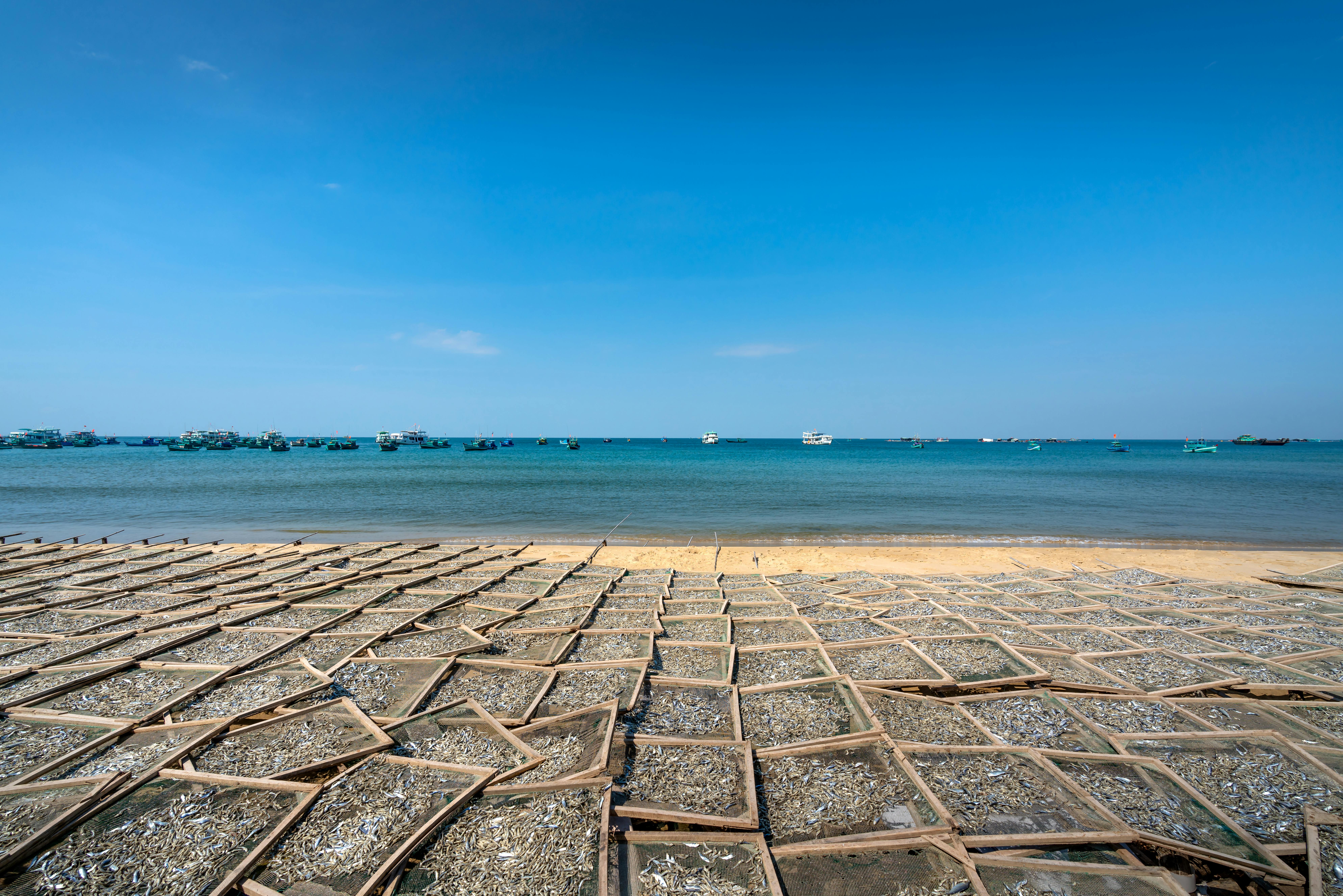 Boxes on Beach on Sea Shore · Free Stock Photo