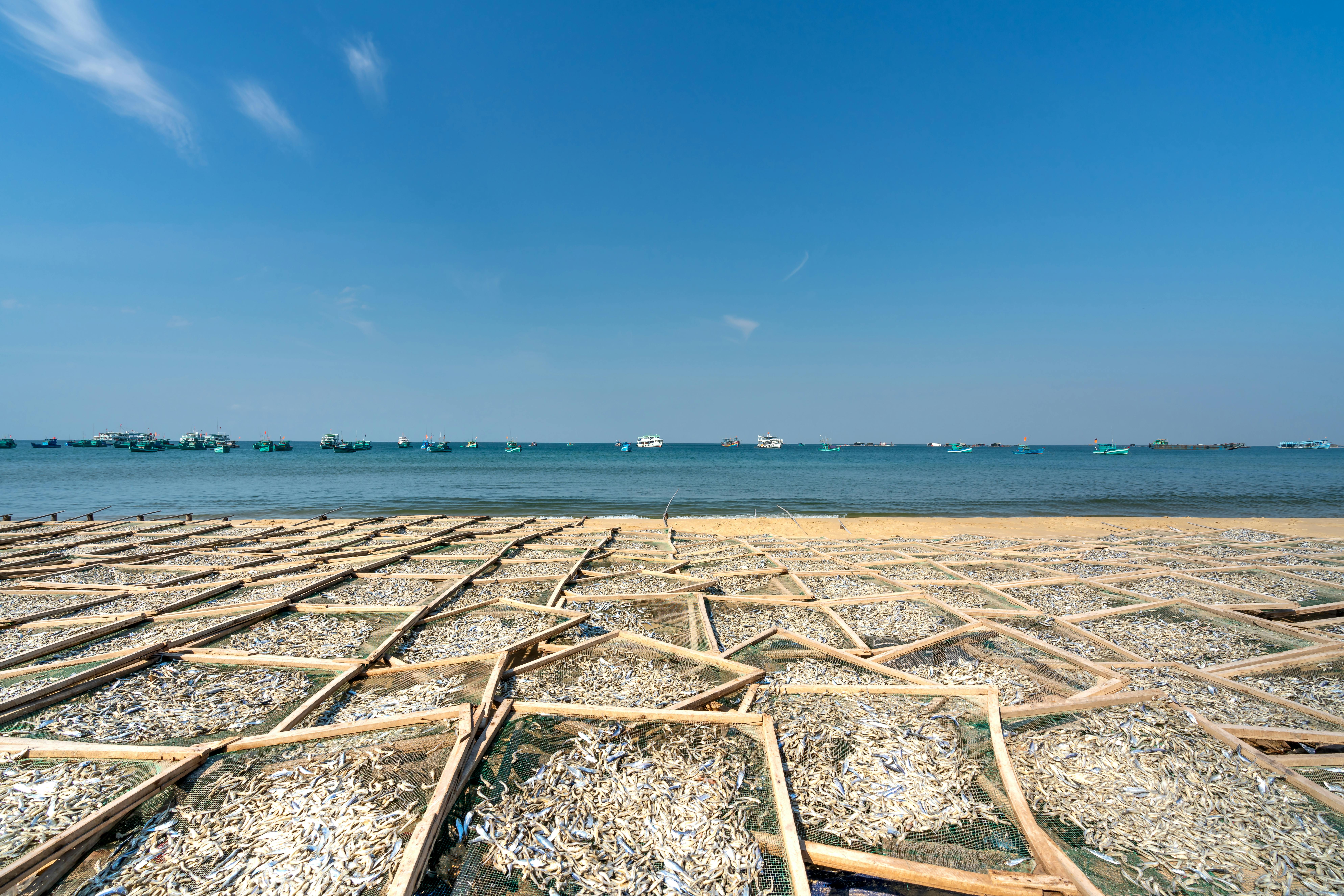 Boxes on Beach · Free Stock Photo