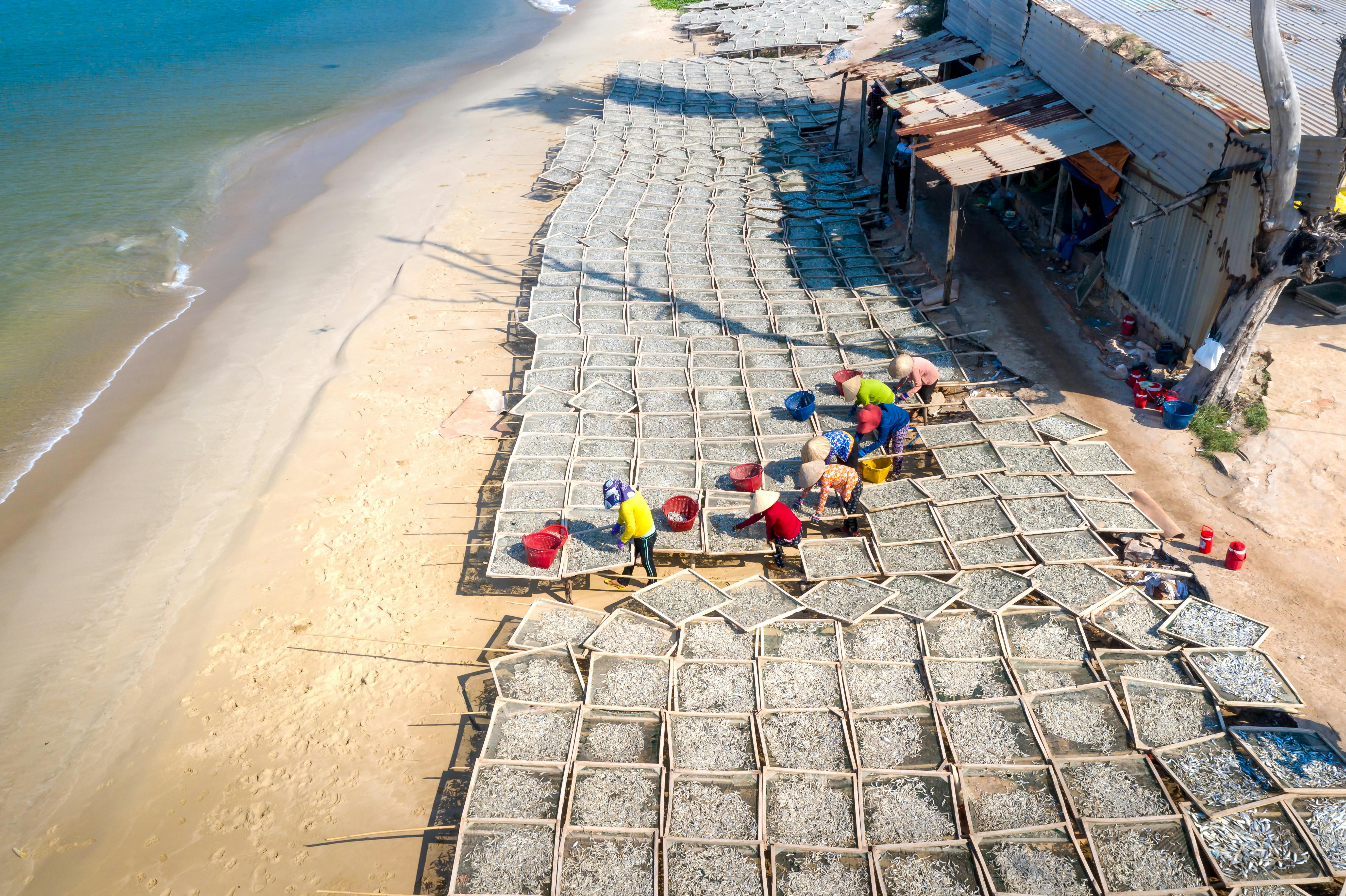 Fish in Cages on Beach · Free Stock Photo