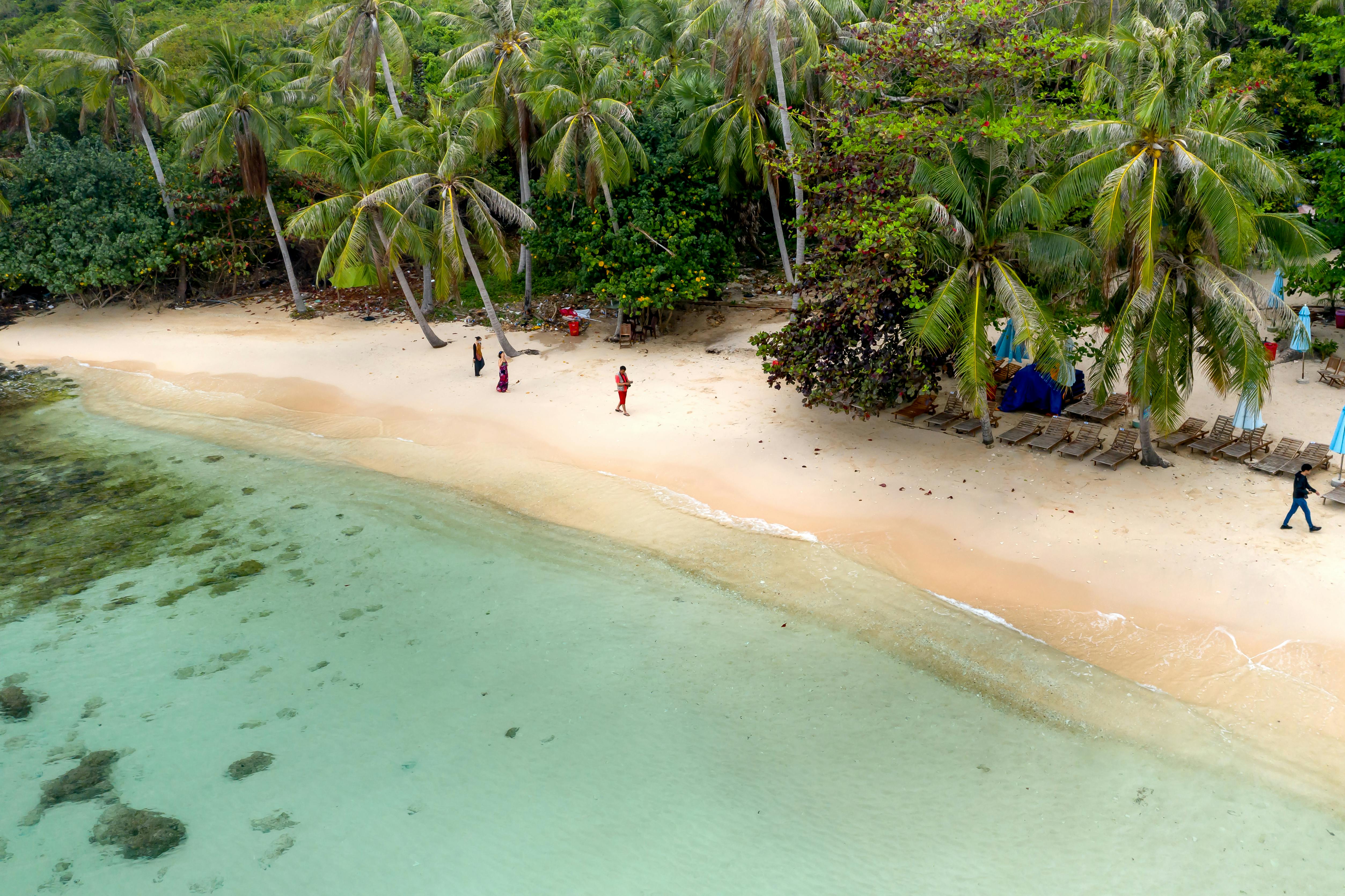 Drone Shot of People at the Beach · Free Stock Photo