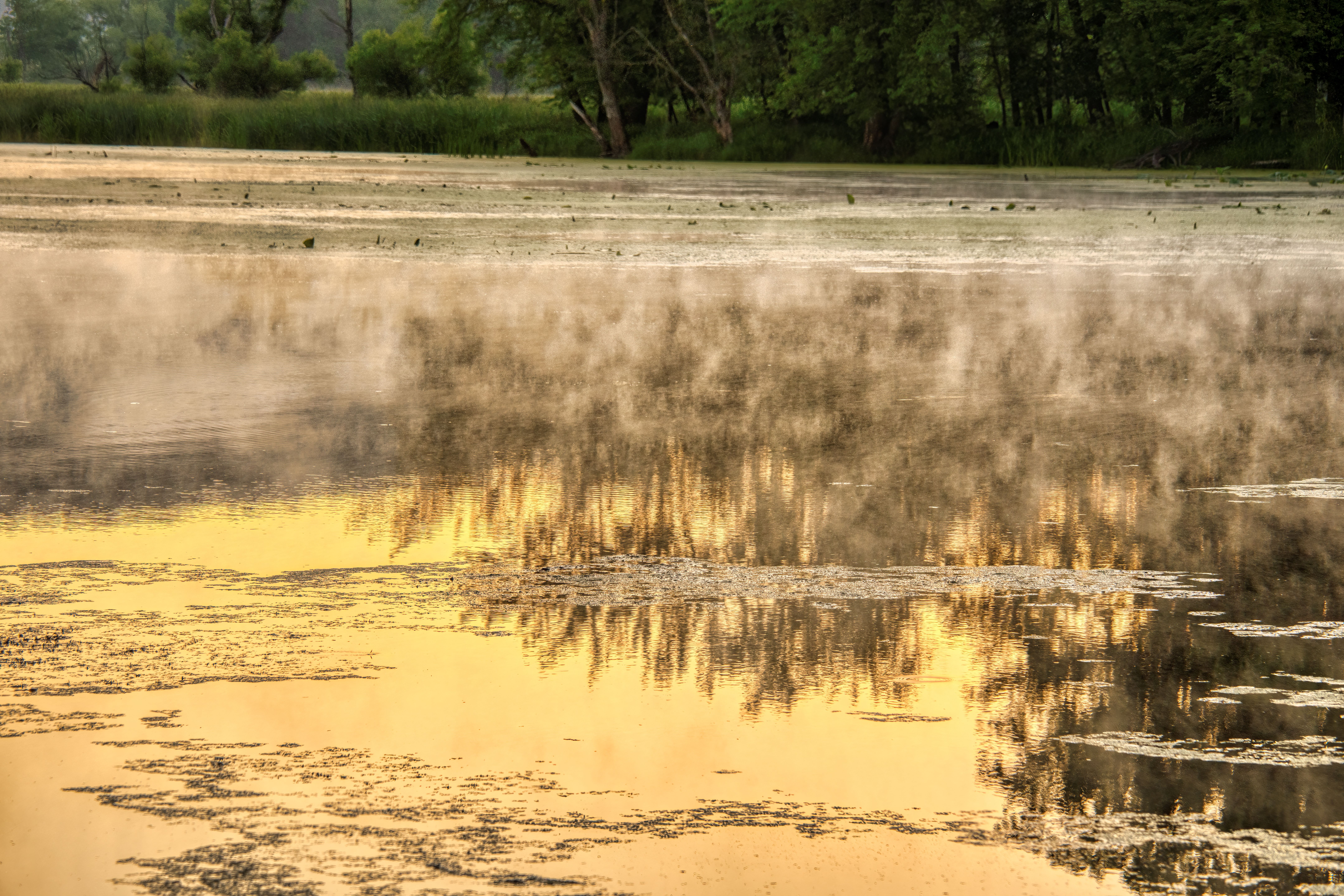 Fog Floating over a Lake at Dawn · Free Stock Photo