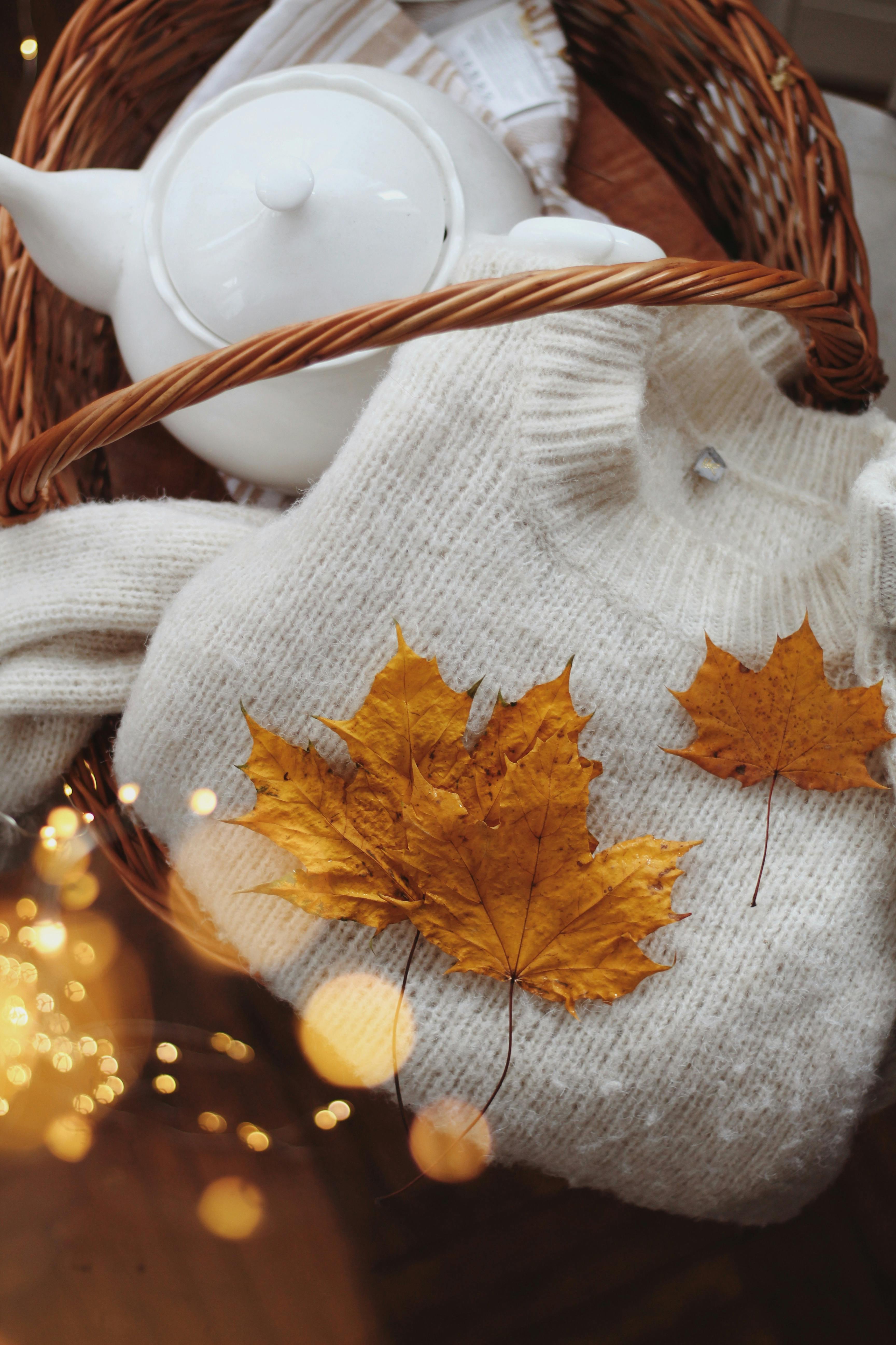 Knitted Sweater inside a Woven Bag · Free Stock Photo